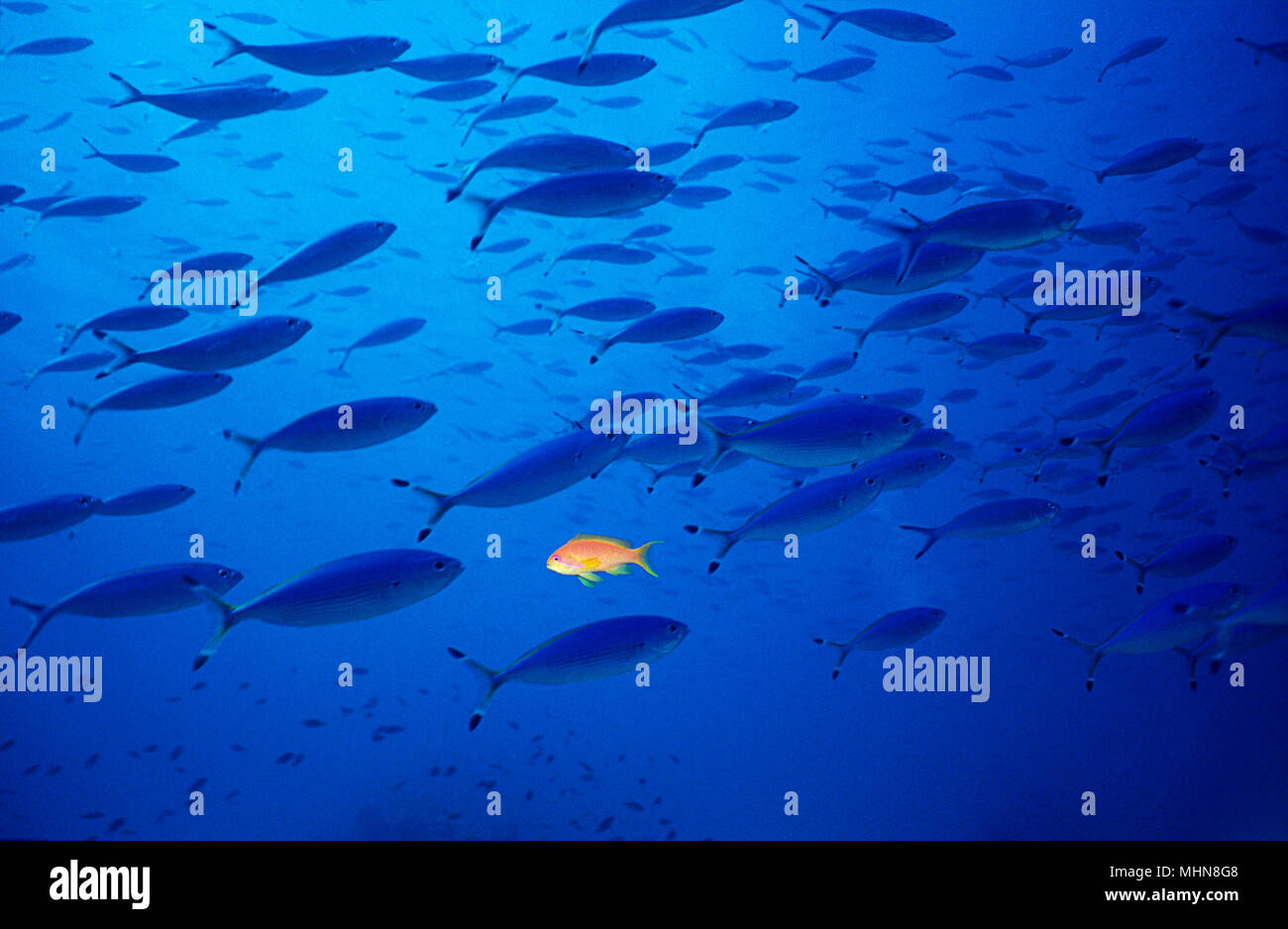 Dont go swimming hi-res stock photography and images - Alamy