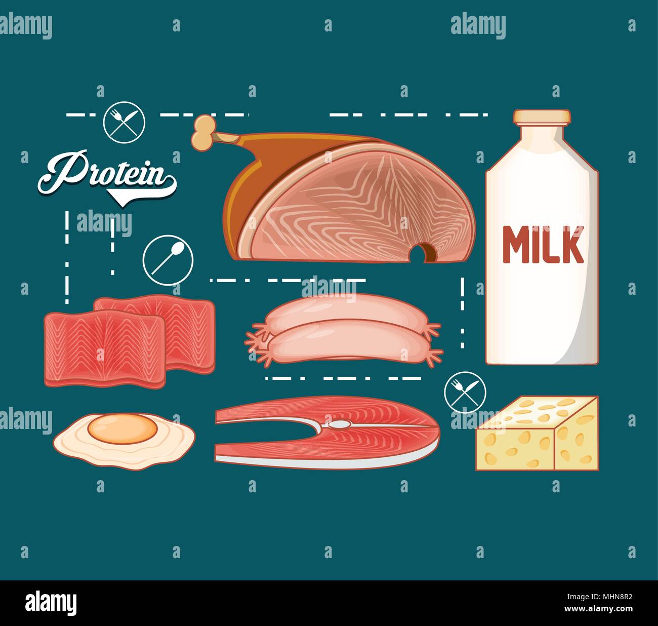 protein diet healthy food vector illustration design Stock Vector Image ...