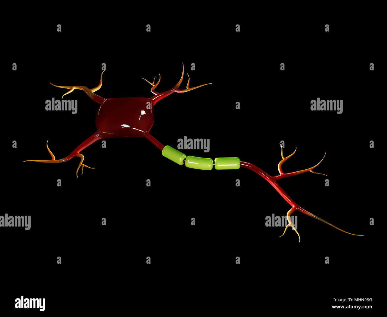 3d illustration of neuron cells, high resolution 3D illustration ...