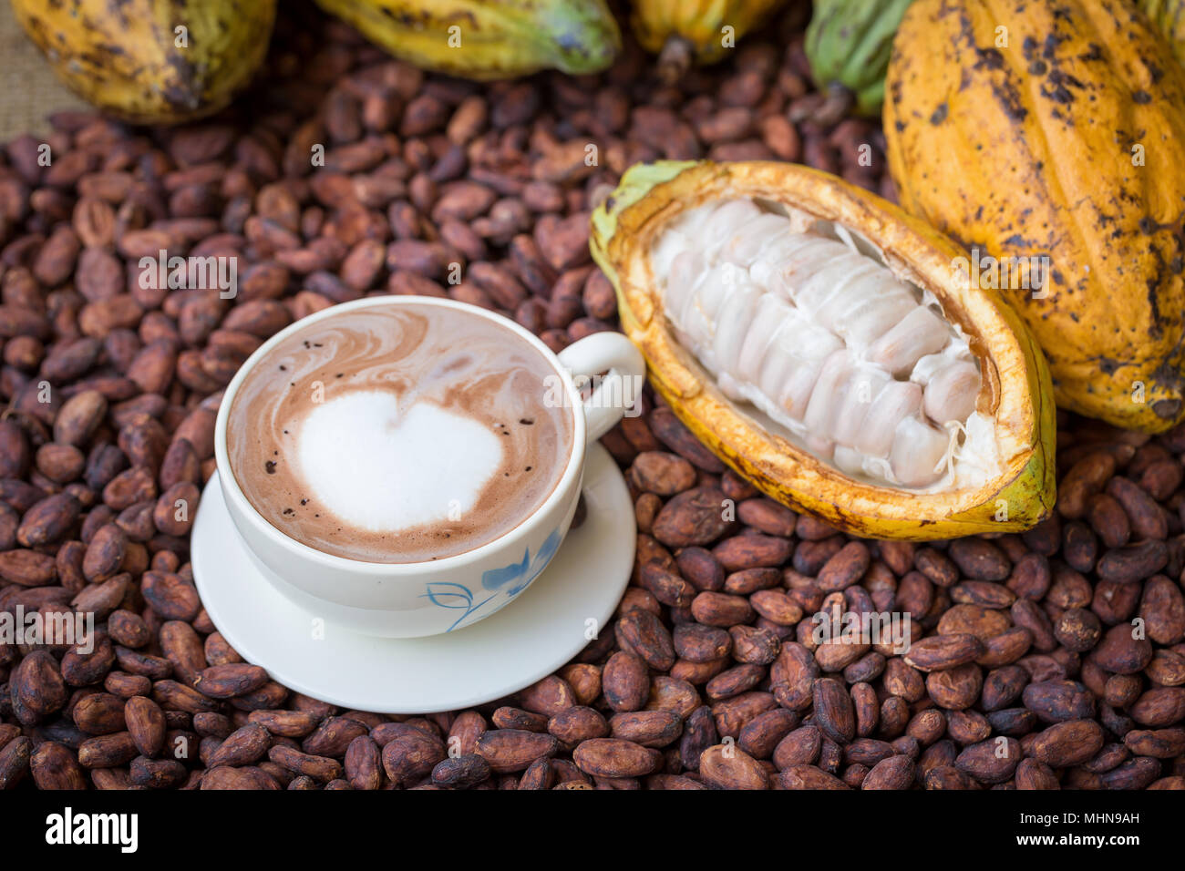 Ripe cocoa pod and cocoa beans setup on rustic wooden background. hot ...