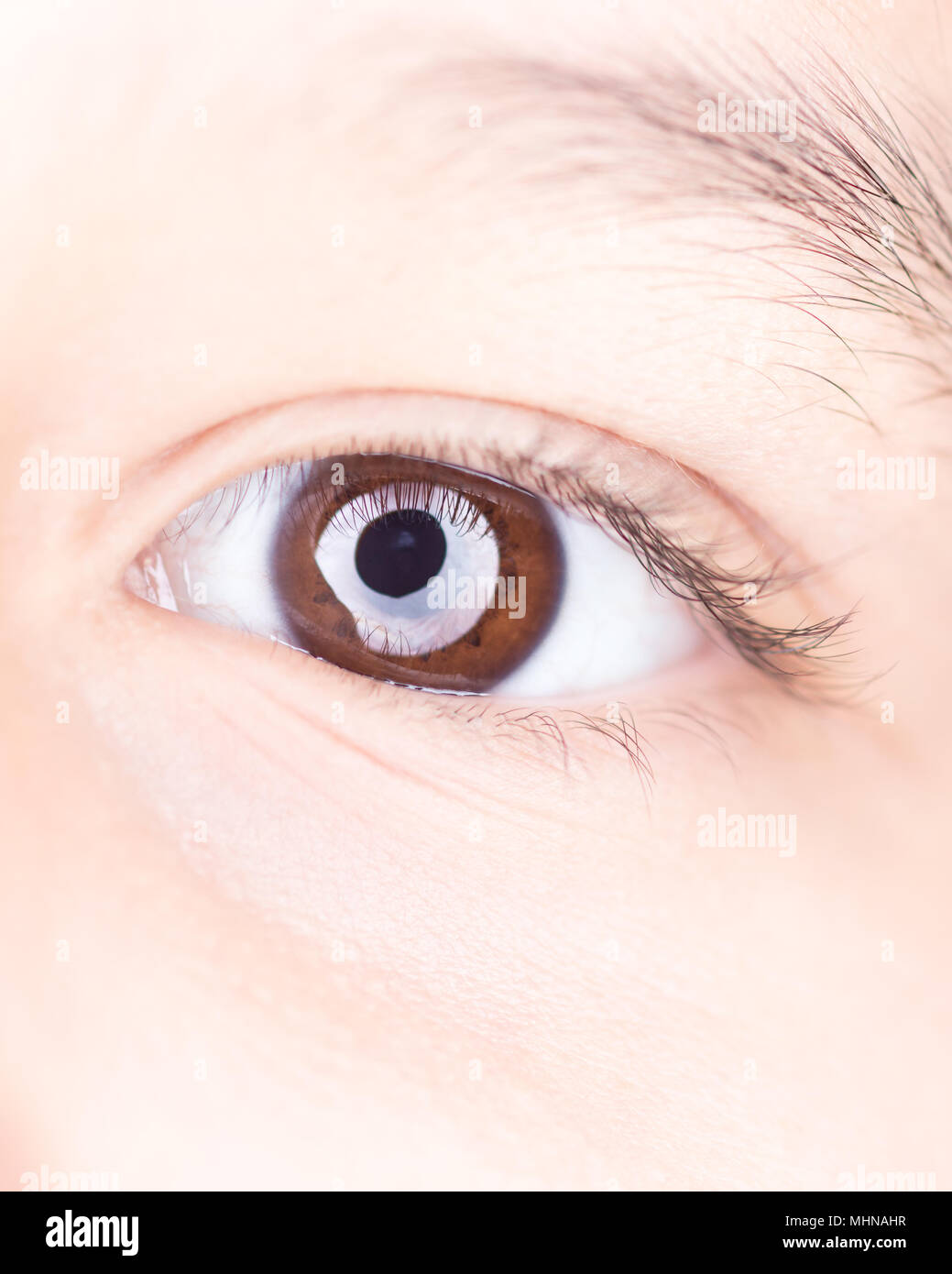 Asian Eyes Close Up