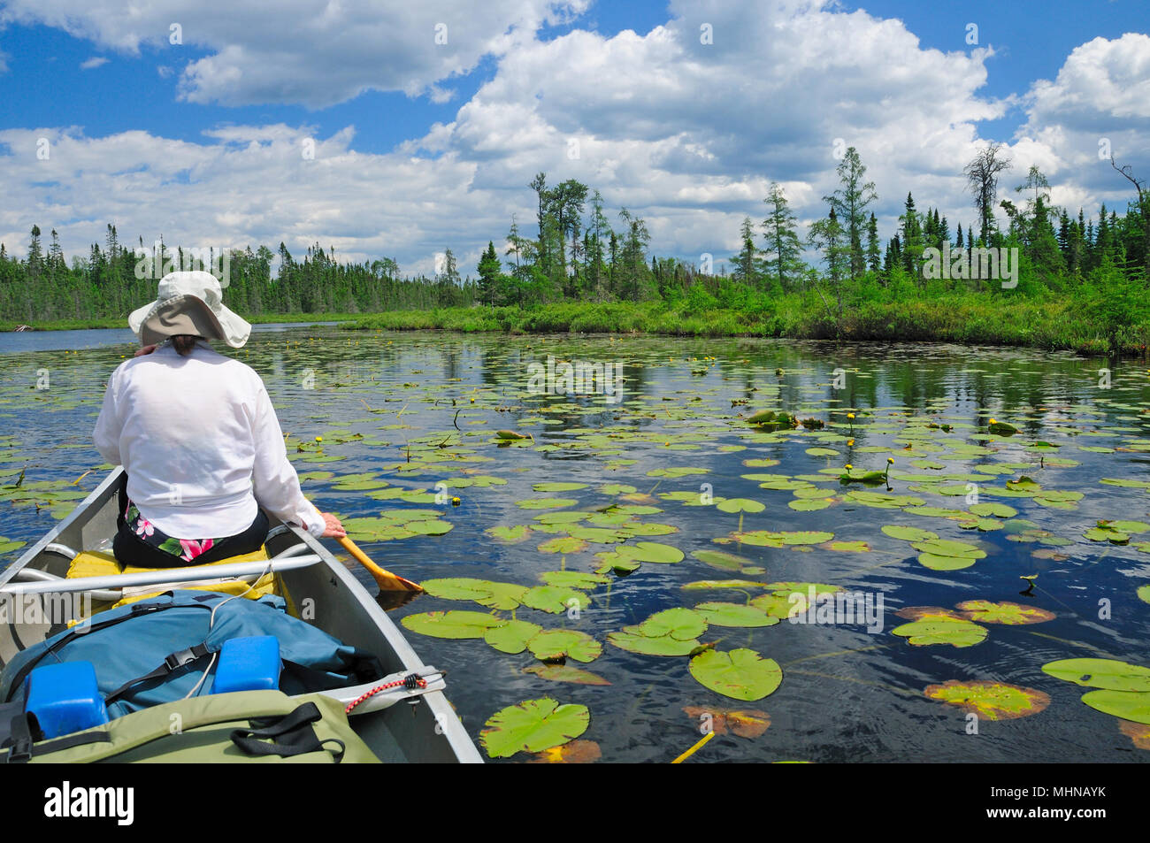 Paddling through the lily pads on Crooked Lake in the Boundary waters ...