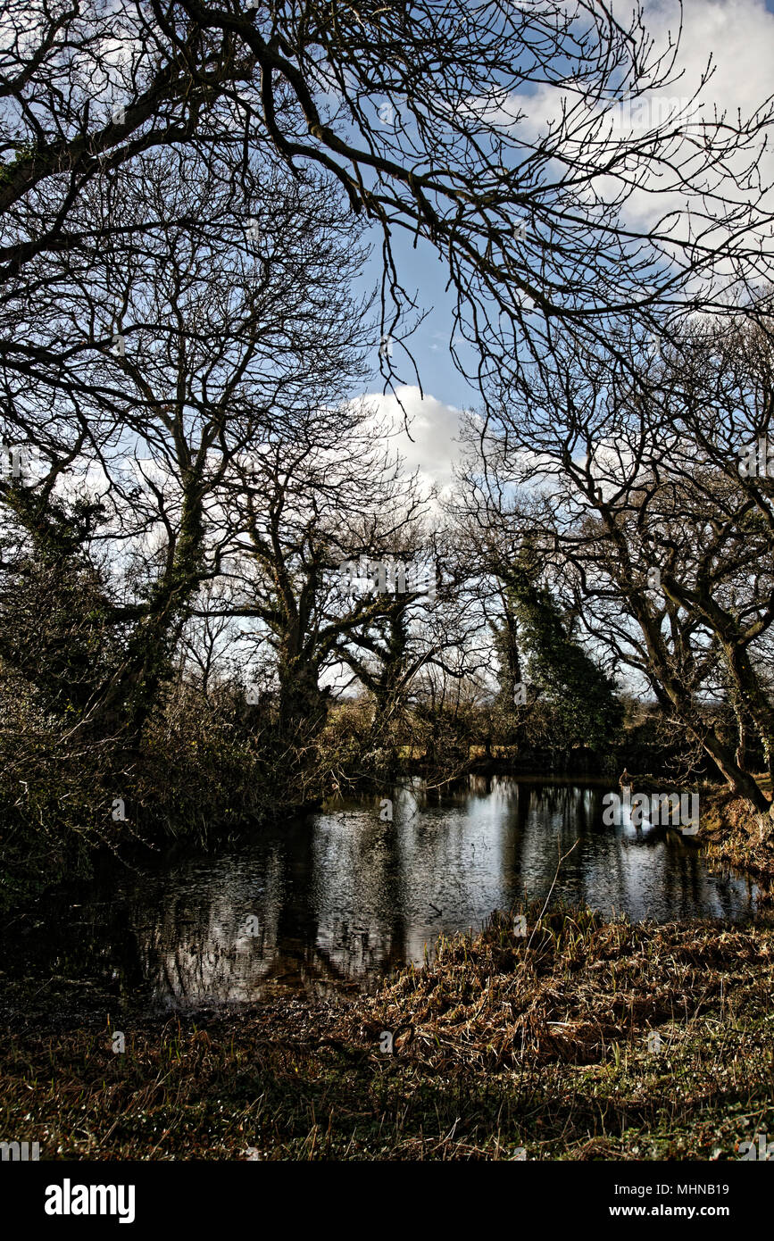 Drovers wood hi-res stock photography and images - Alamy