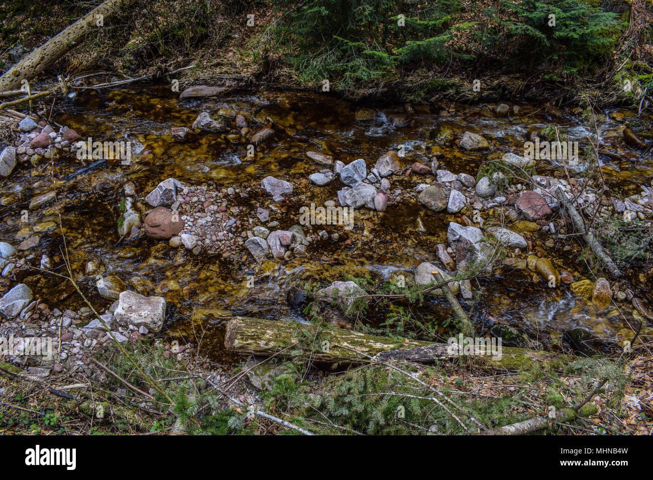 Water flowing through moss covered fallen trees and rocks in ...