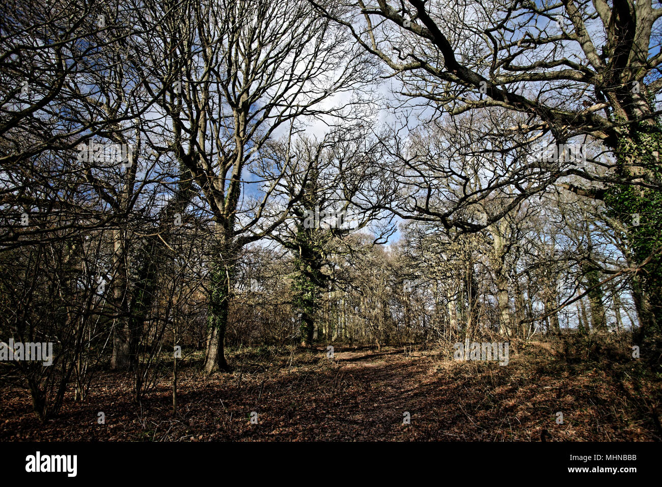 Drovers route hi-res stock photography and images - Alamy