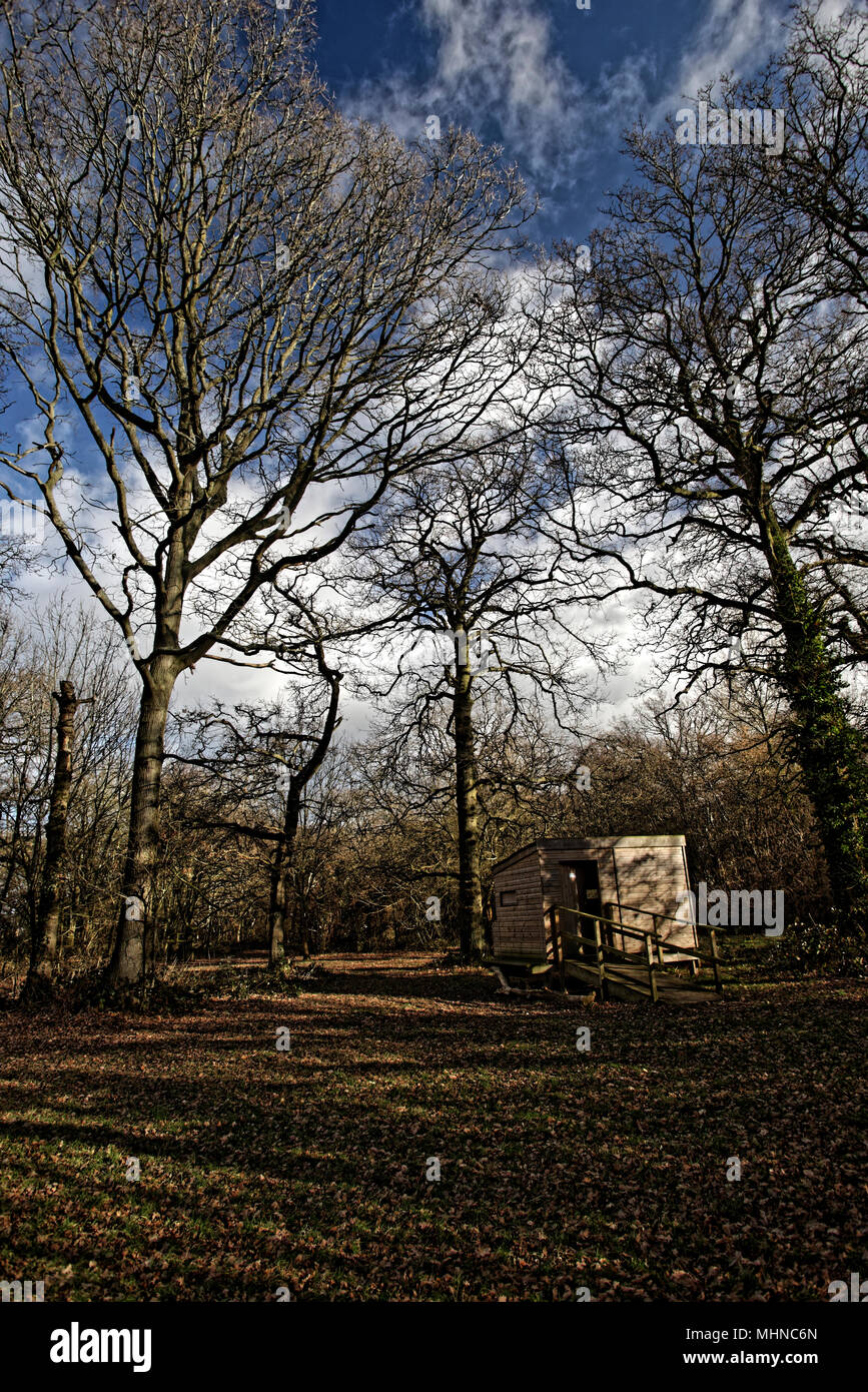 Green oak benches hi-res stock photography and images - Alamy
