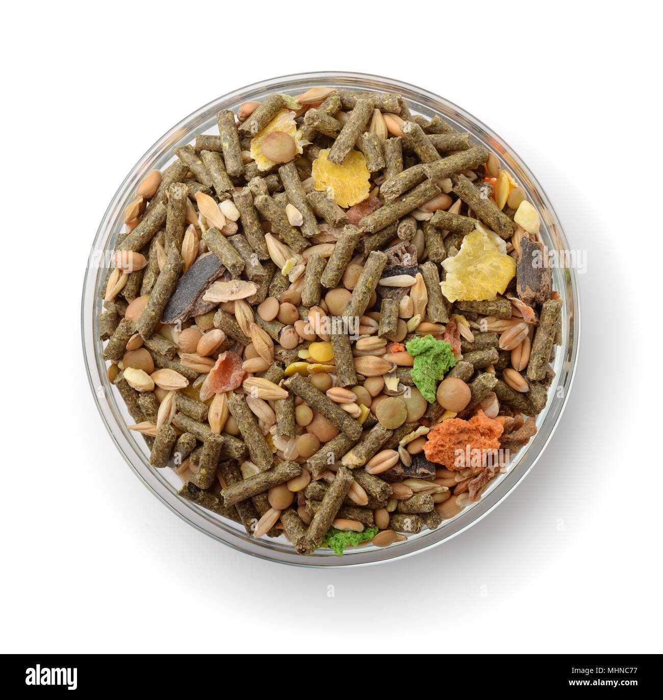 Compound view Cut Out Stock Images & Pictures - Alamy