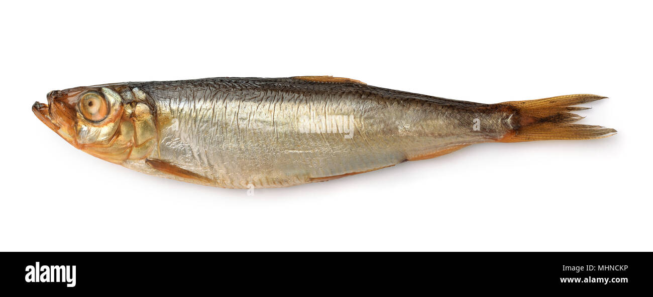 Baltic sprat hi-res stock photography and images - Alamy