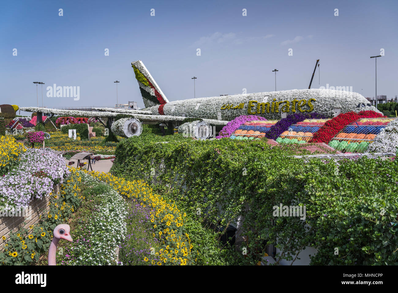 An Emirates Air floral airplane at the Miracle Gardens in Dubai, UAE ...