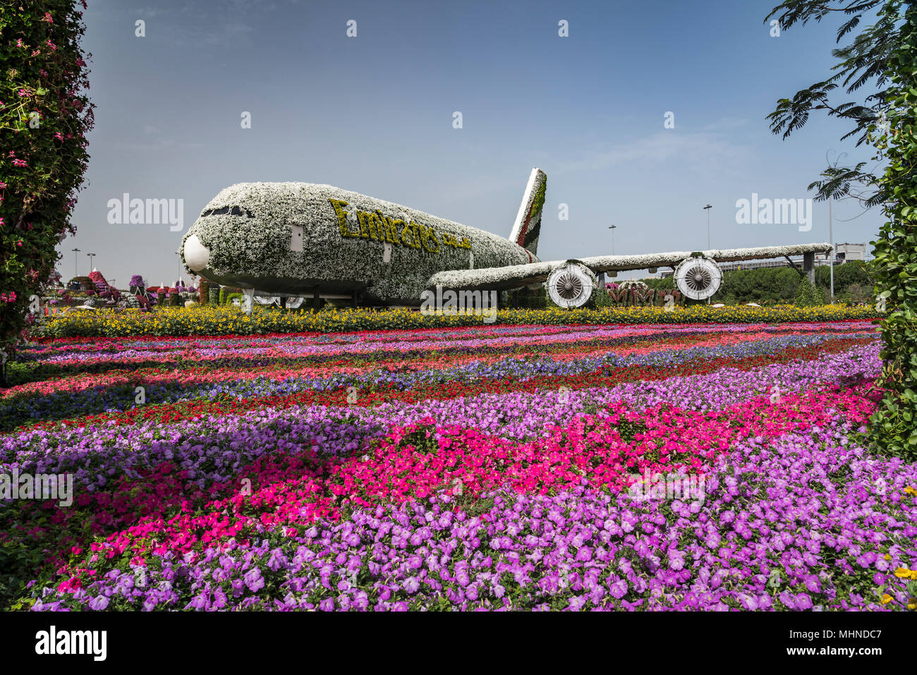 An Emirates Air floral airplane at the Miracle Gardens in Dubai, UAE ...