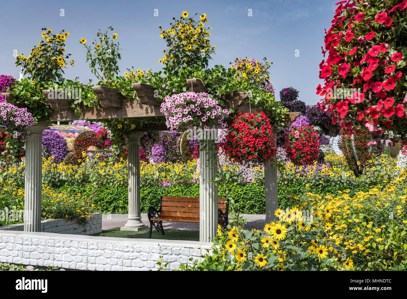 The Miracle Gardens in Dubai, UAE, Middle East Stock Photo - Alamy
