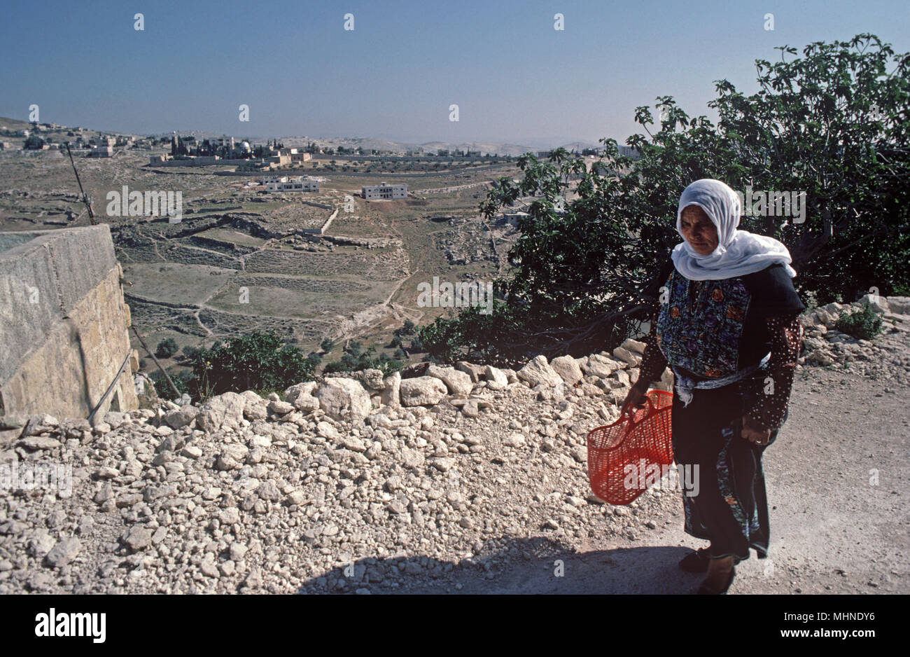 Palestinian wman with plastic shopping basket, West Bank, East ...