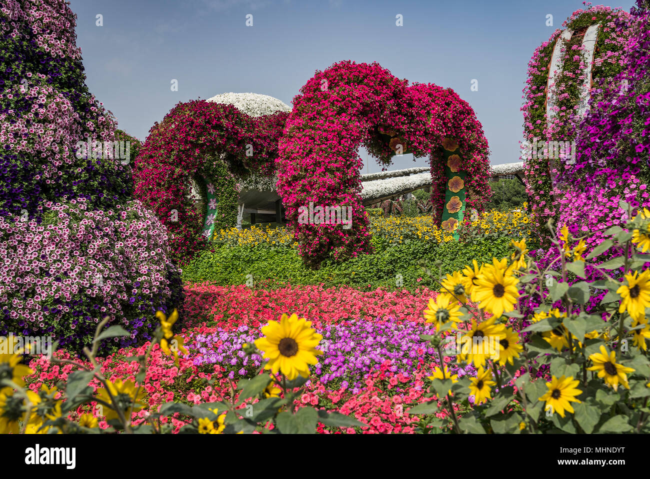 Heart shaped garden decor at the Miracle Gardens in Dubai, UAE, Middle ...