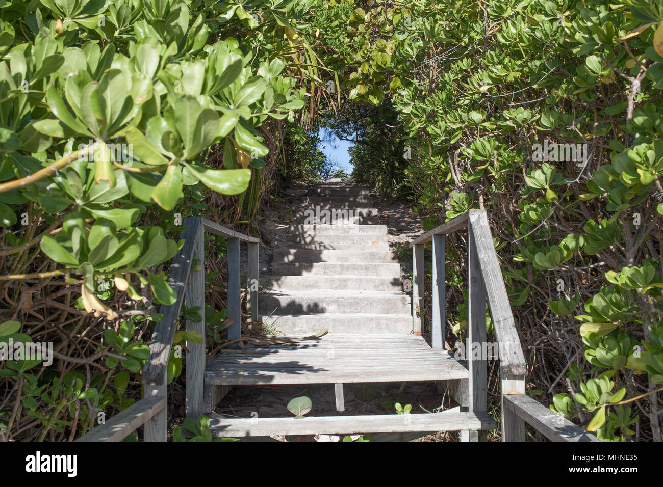 Stairway to the beach on a sunny afternoon in the Bahamas Stock Photo ...