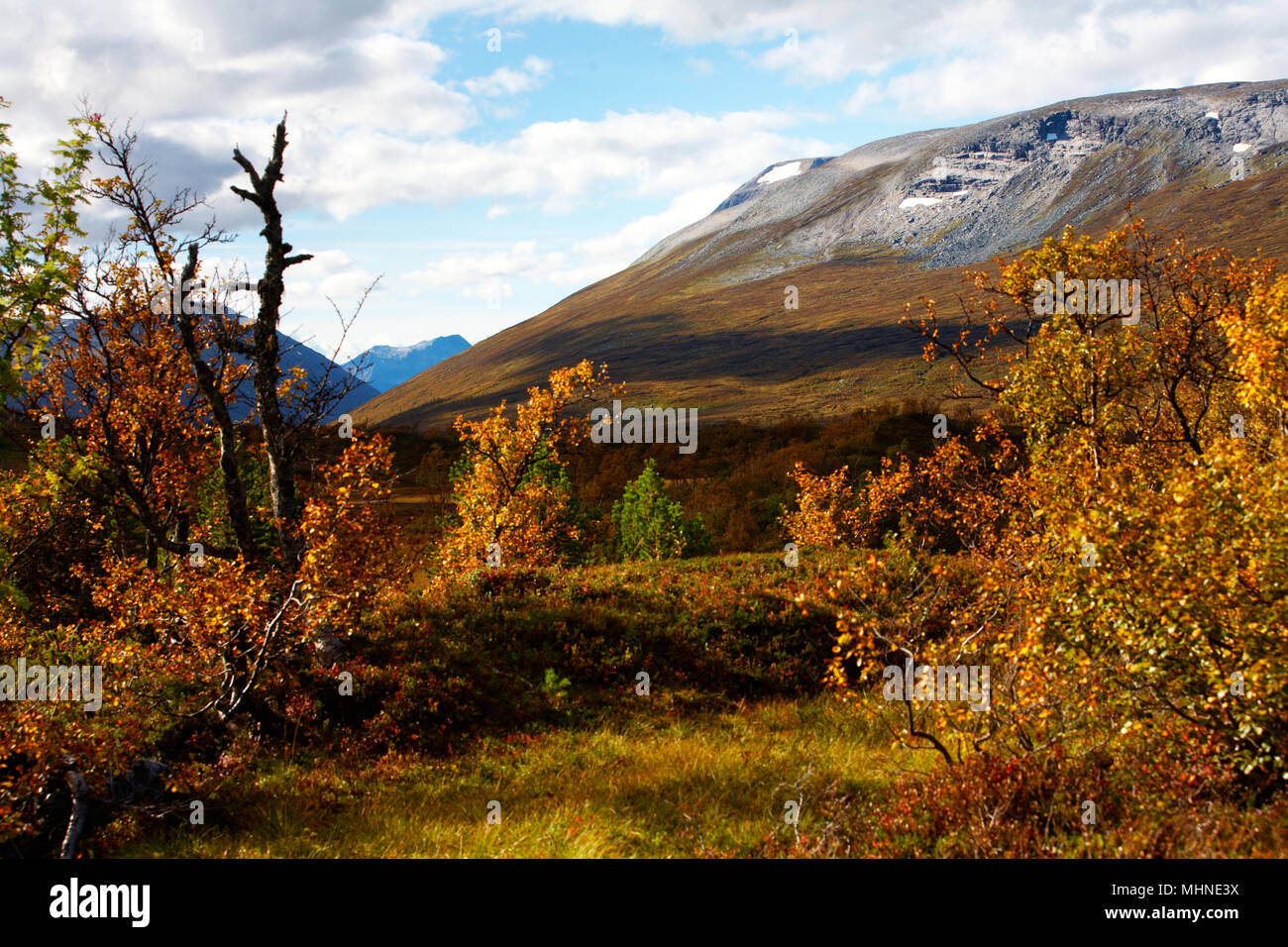 Norwegian season hi-res stock photography and images - Alamy