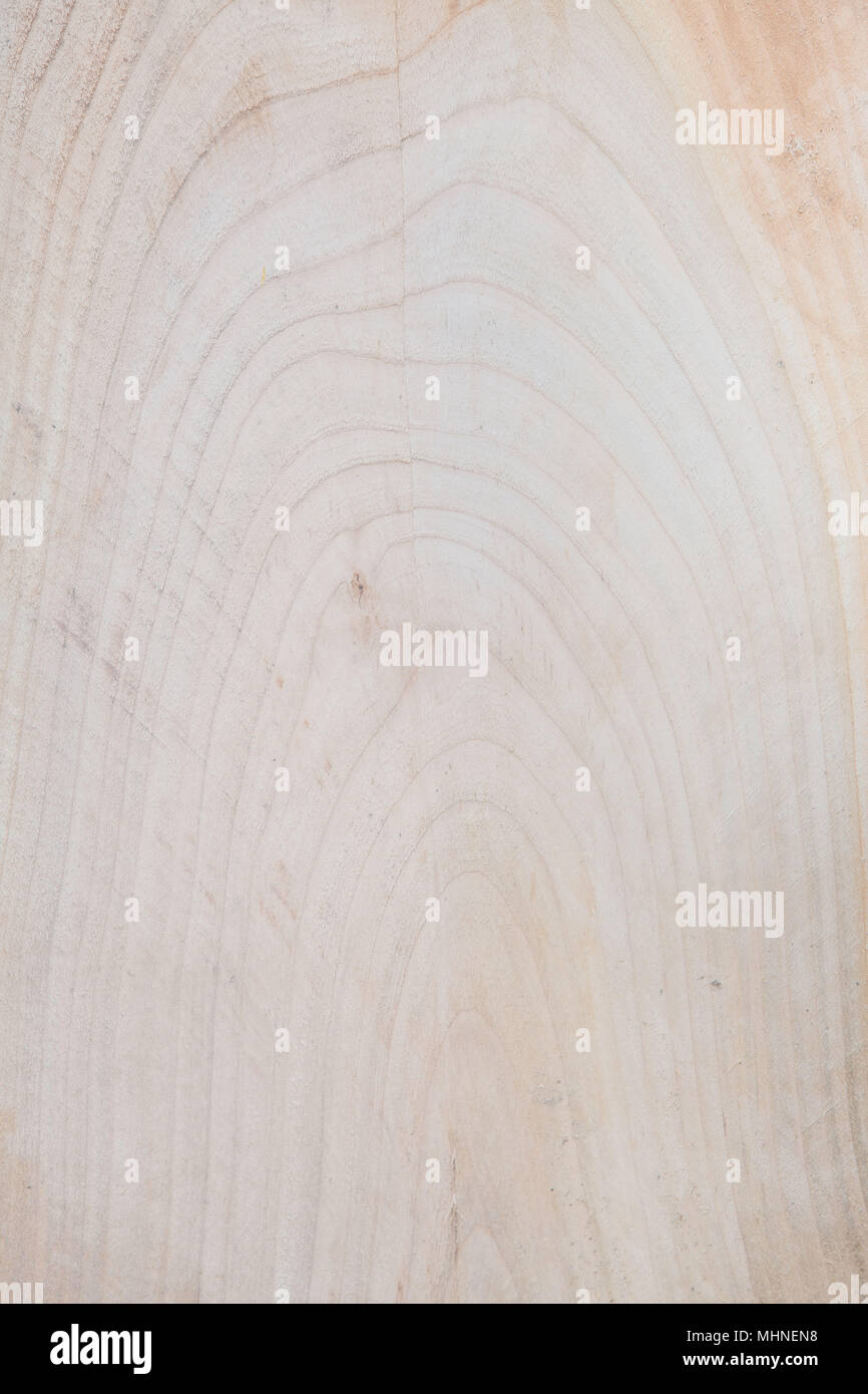 slice of wood timber natural background Stock Photo - Alamy