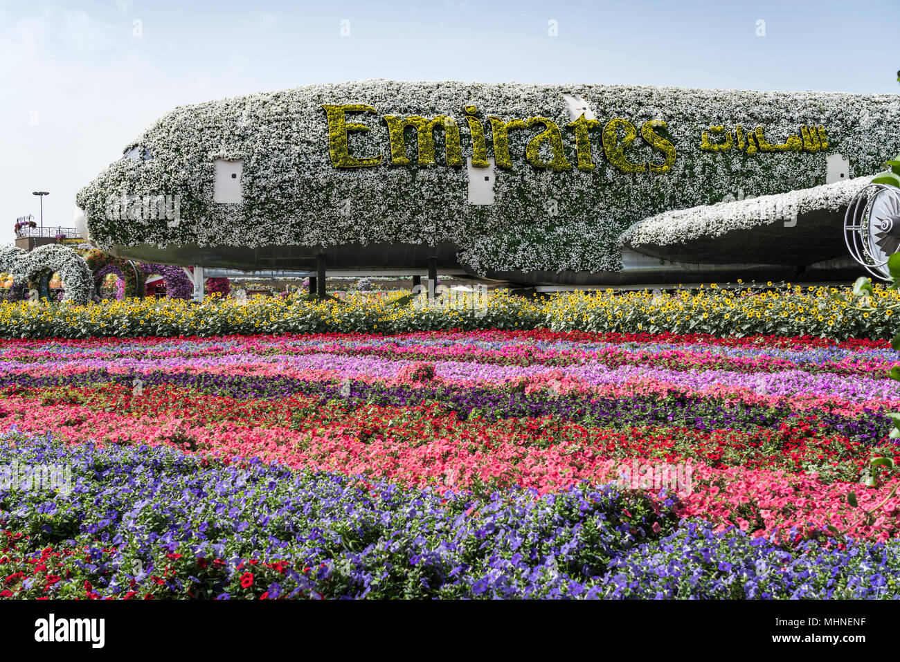 Emirates flower airplane hi-res stock photography and images - Alamy