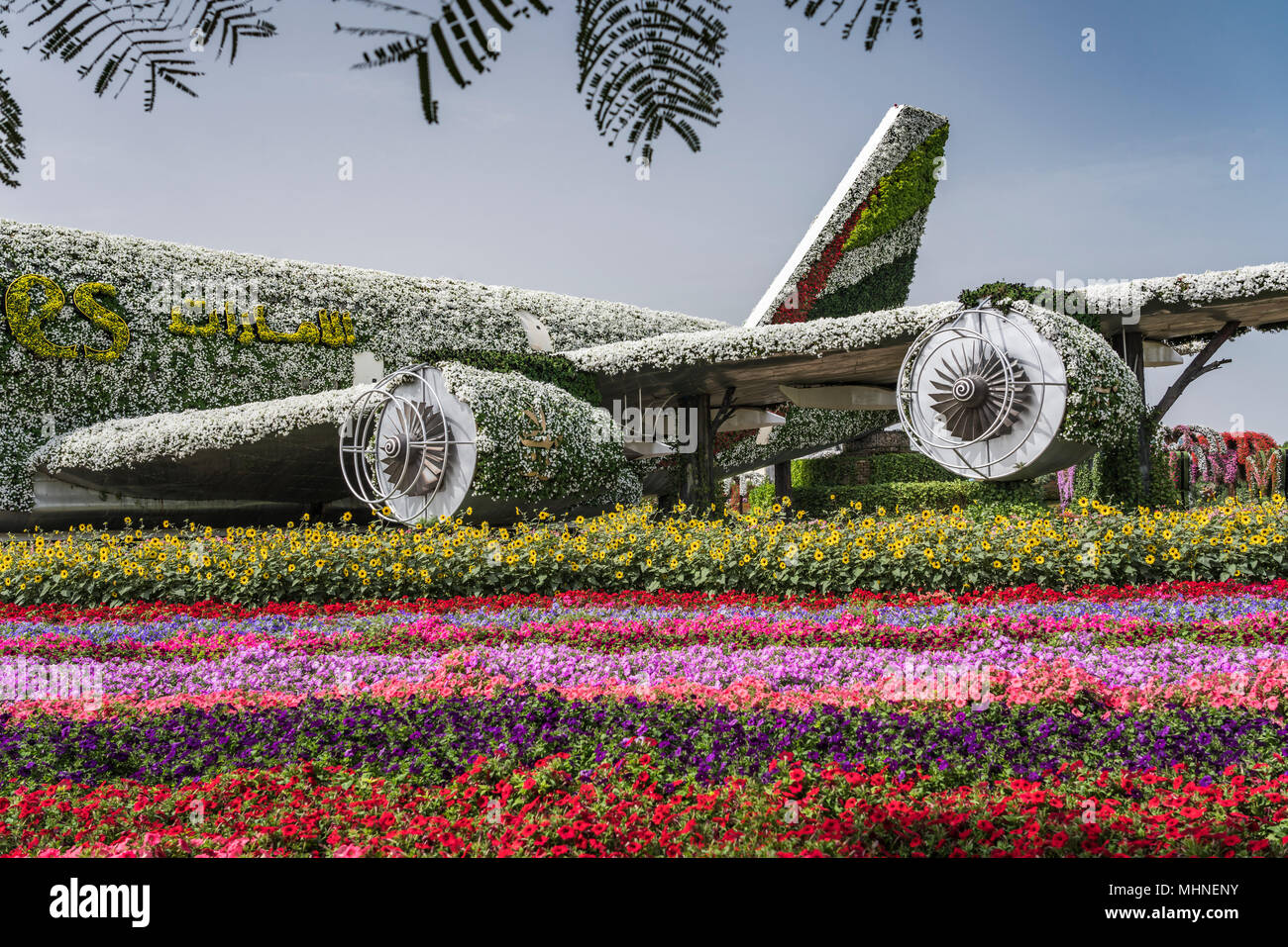 An Emirates Air floral airplane at the Miracle Gardens in Dubai, UAE ...