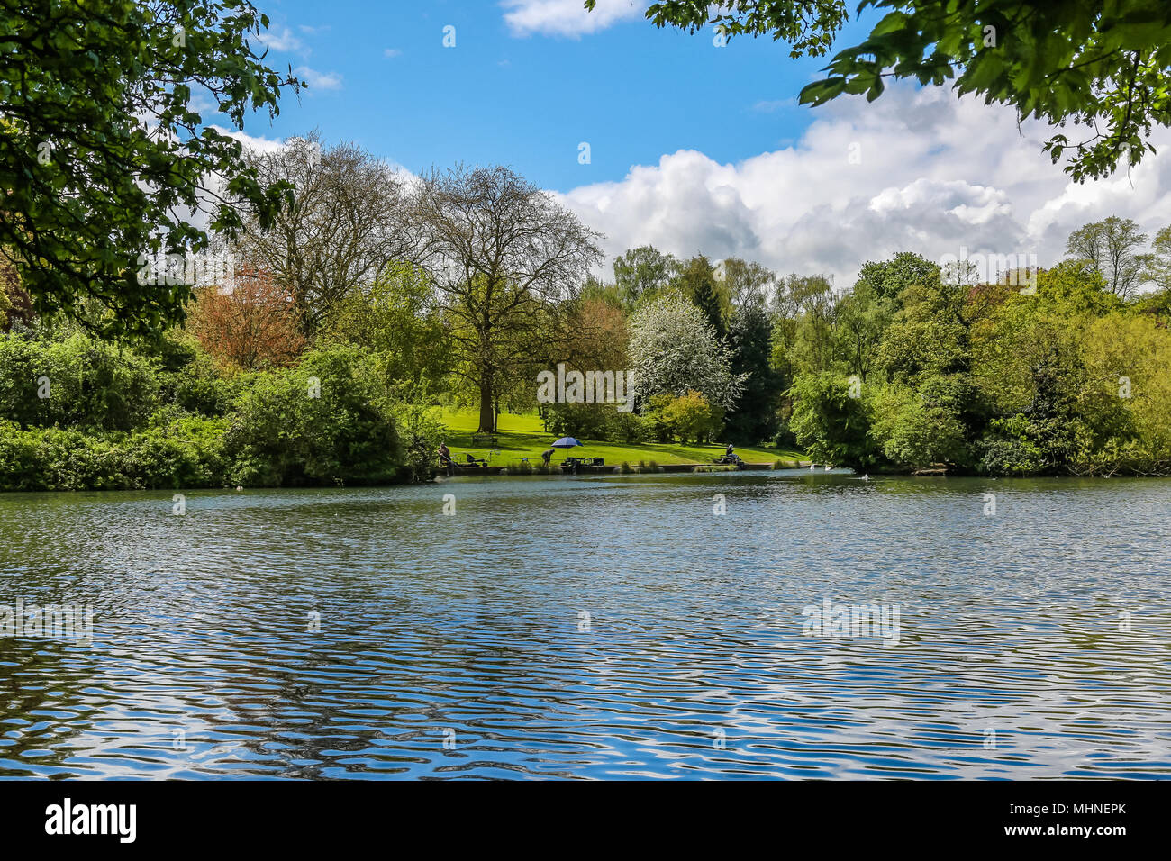 Abington Park, an urban park in the town of Northampton,uk Stock Photo ...