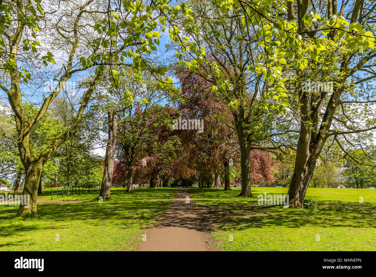 Abington Park, an urban park in the town of Northampton,uk Stock Photo ...