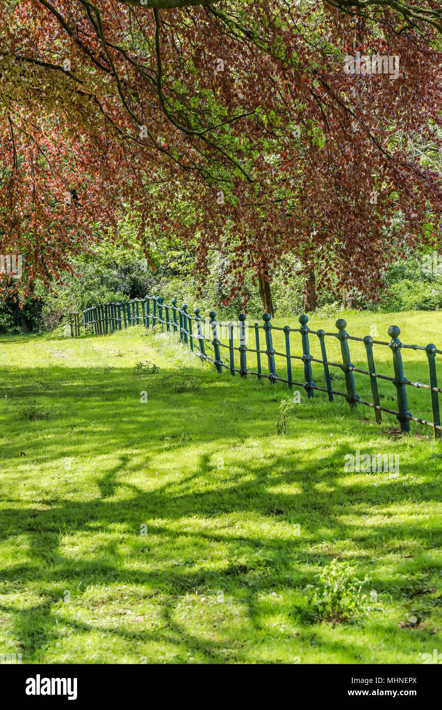 Abington Park, an urban park in the town of Northampton,uk Stock Photo ...