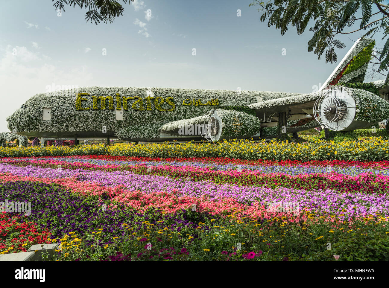 An Emirates Air floral airplane at the Miracle Gardens in Dubai, UAE ...