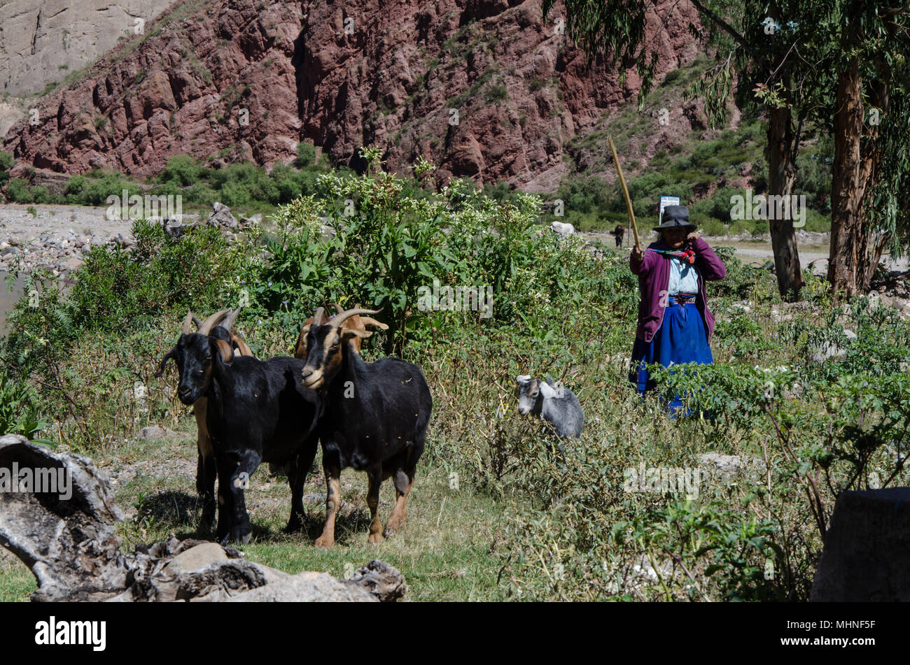 Aymara indian hi-res stock photography and images - Alamy