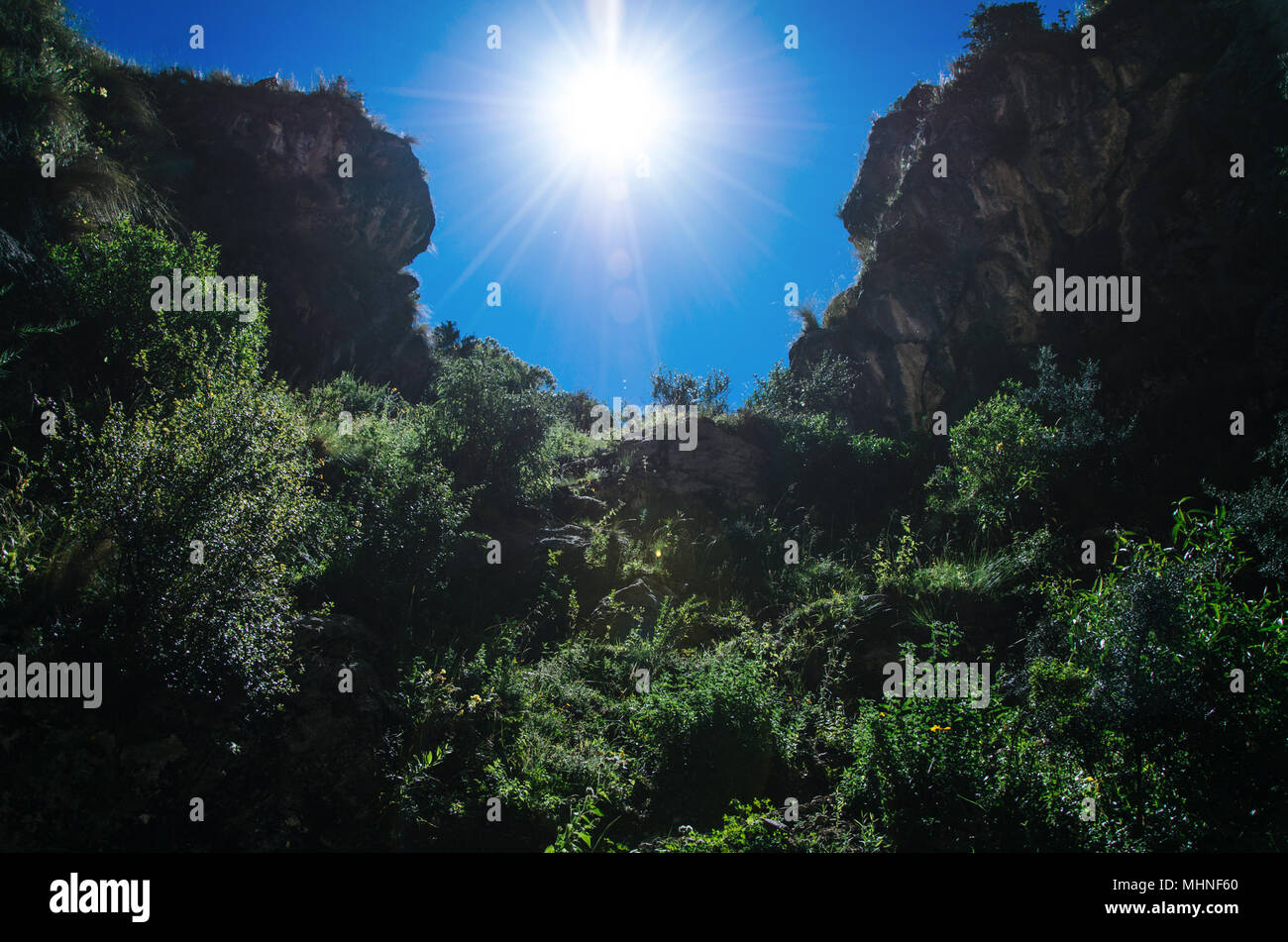 Sun shining through rainforest hi-res stock photography and images - Alamy