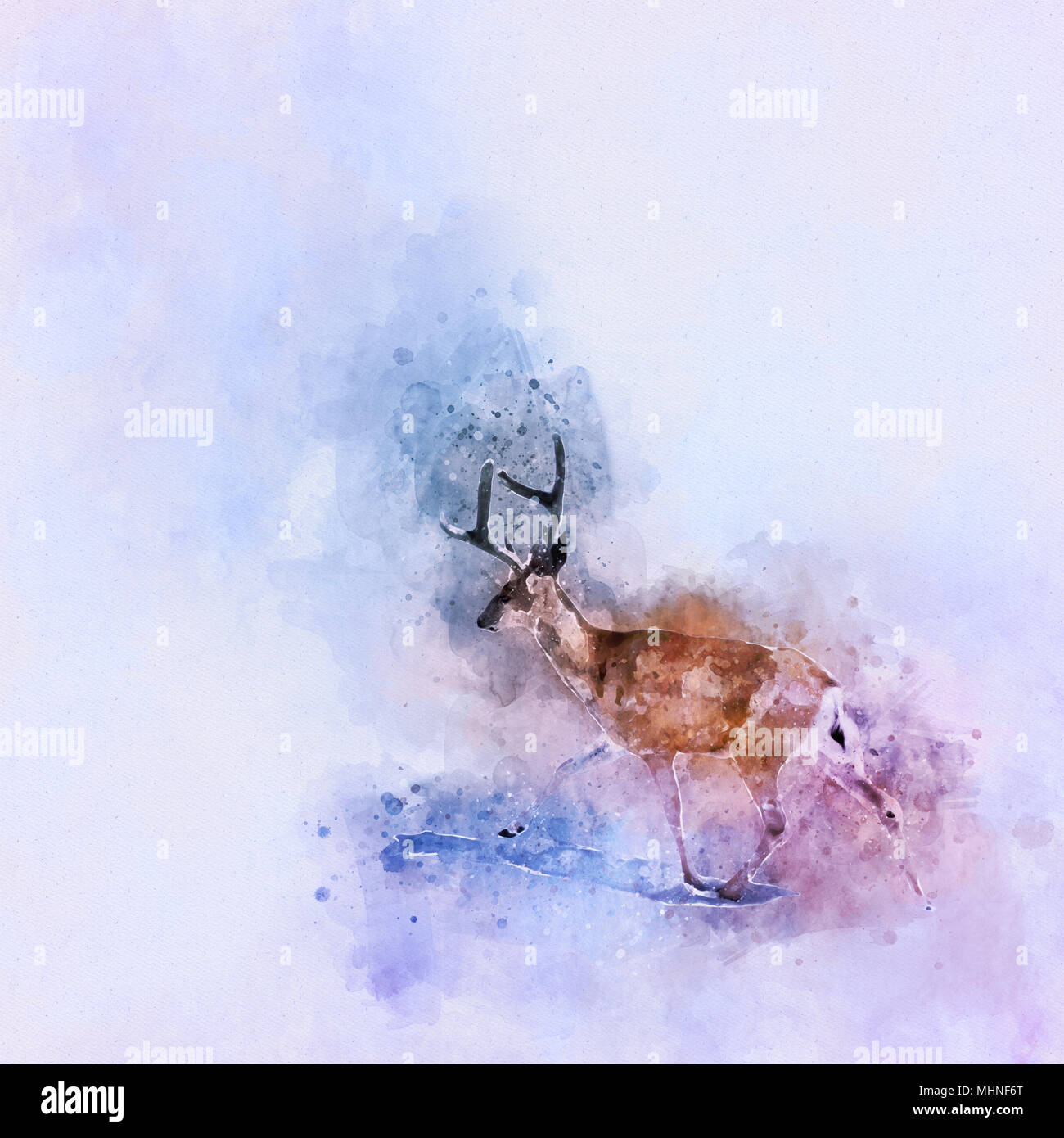 Snow deer painting hi-res stock photography and images - Alamy
