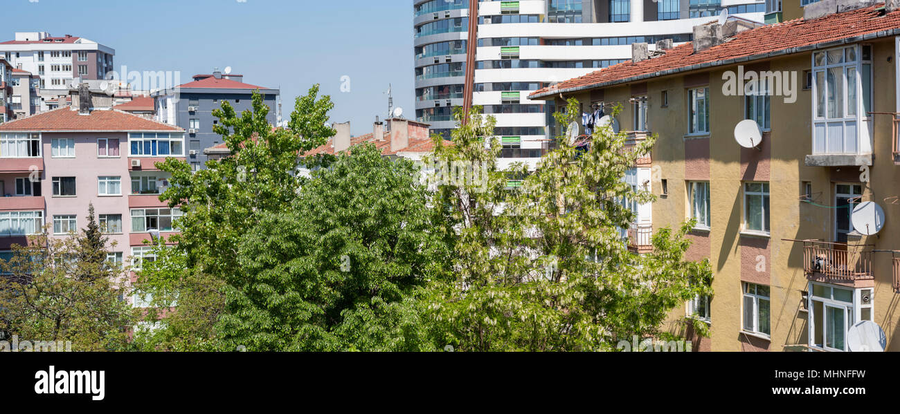 Trees in between buildings Stock Photo - Alamy