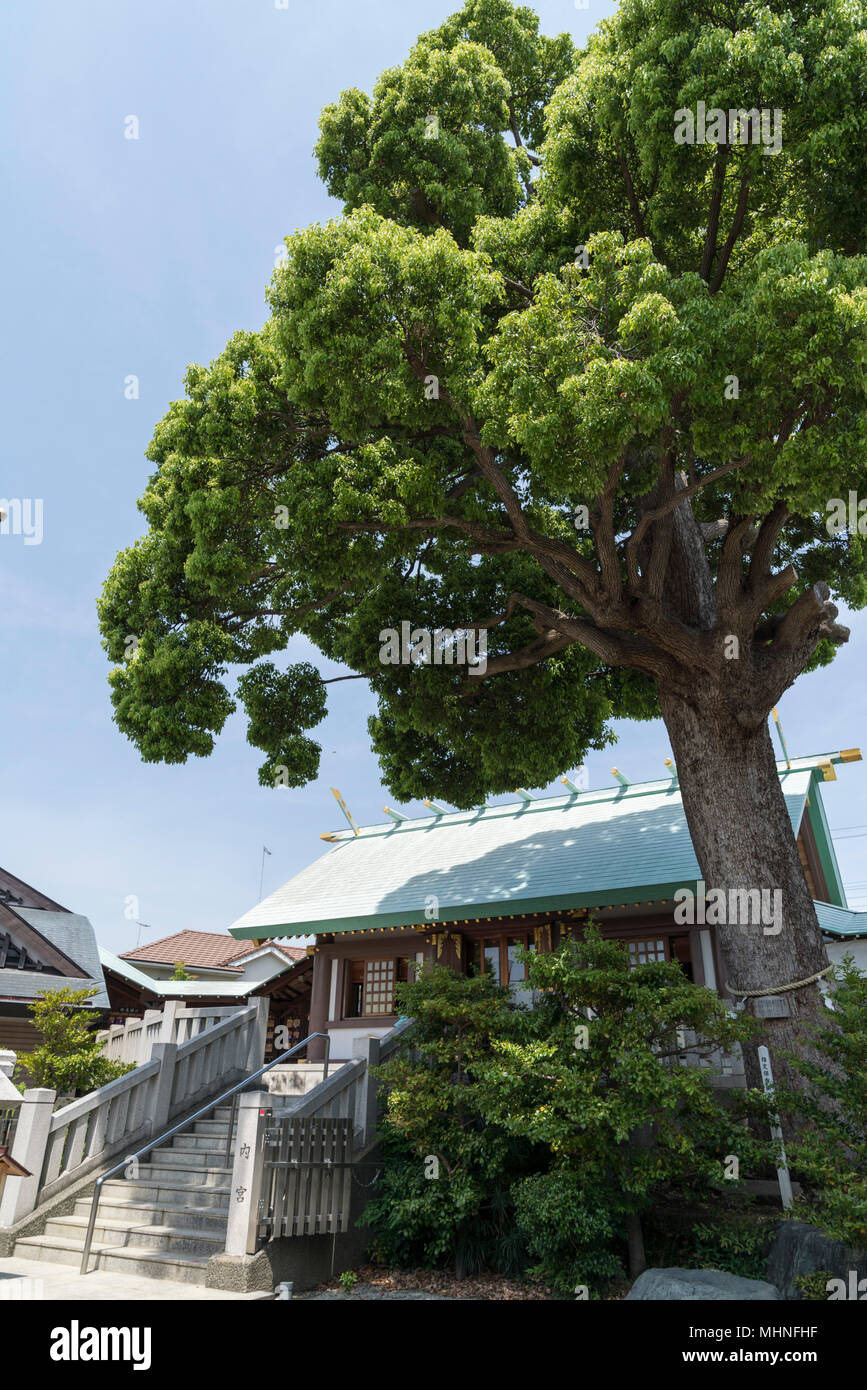 Isehara Daijingu Shrine, Isehara City, Kanagawa Prefecture, Japan Stock ...