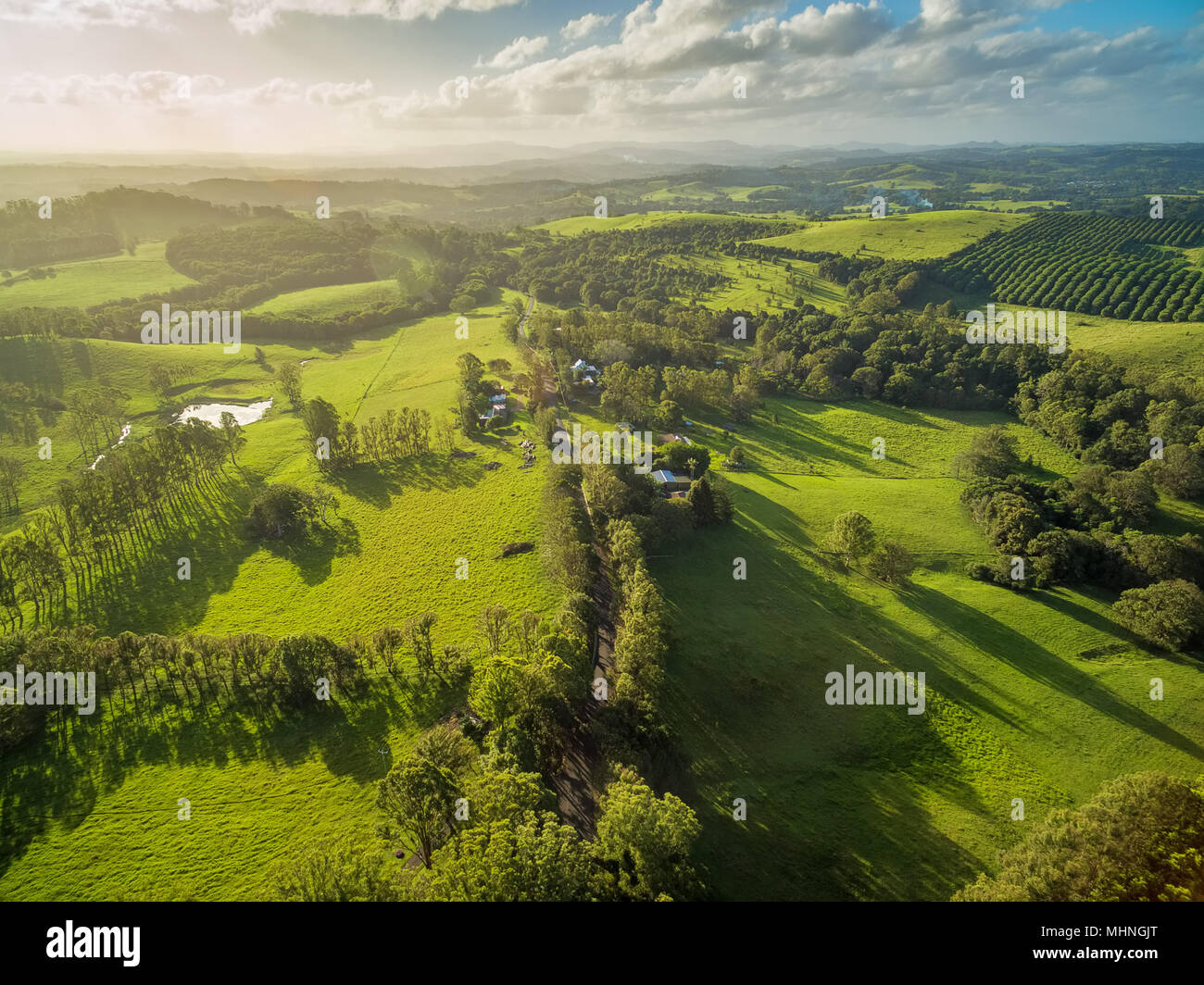 Beautiful long shadows trees sunset hi-res stock photography and images ...