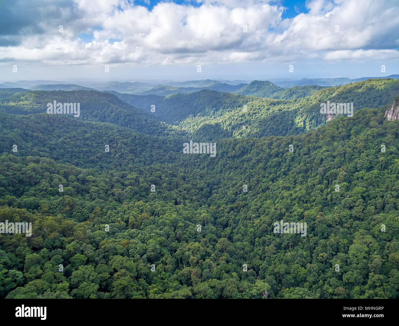 Panorama springbrook national park hi-res stock photography and images ...