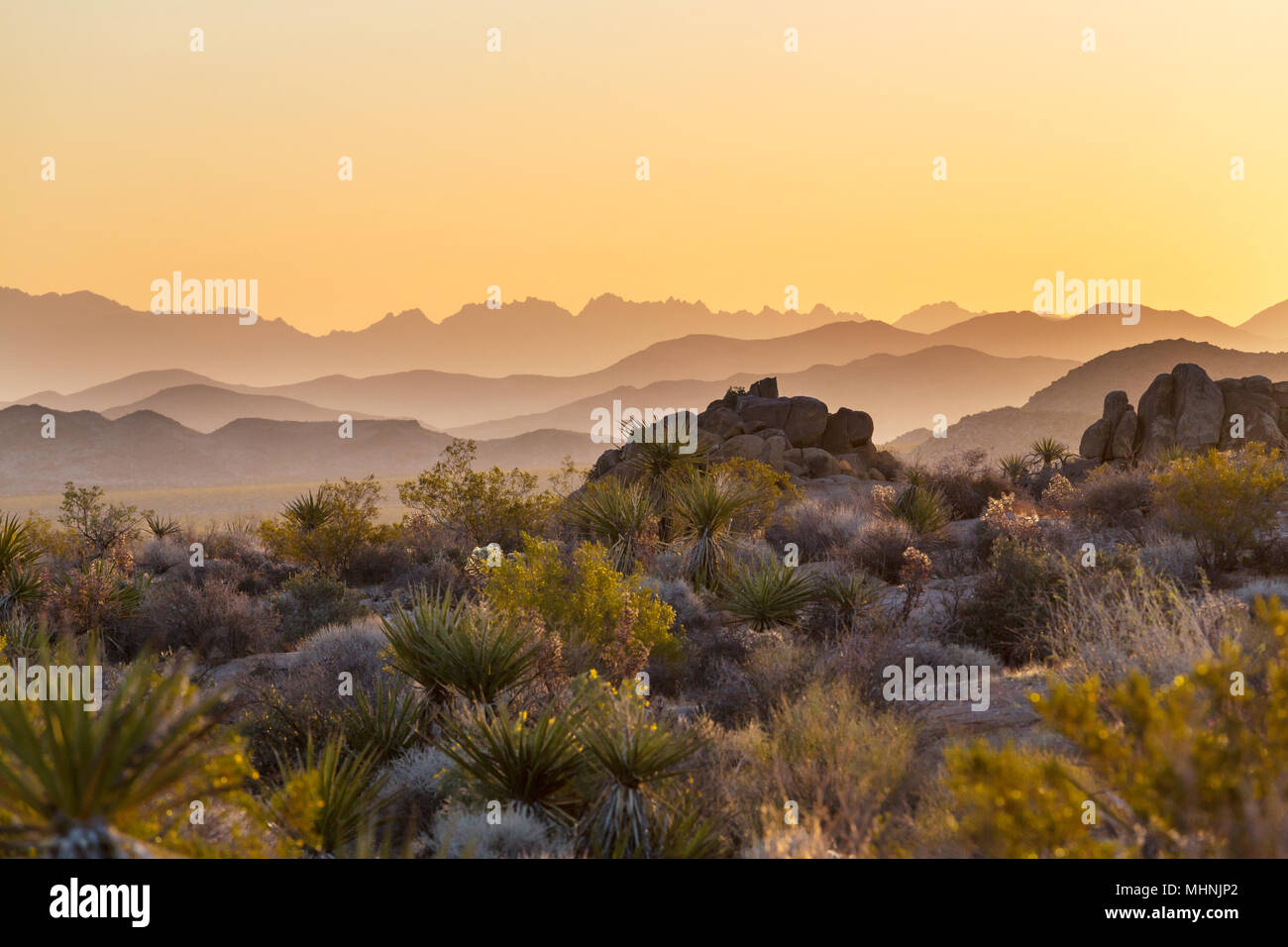 Beautiful landscapes of the American desert Stock Photo - Alamy