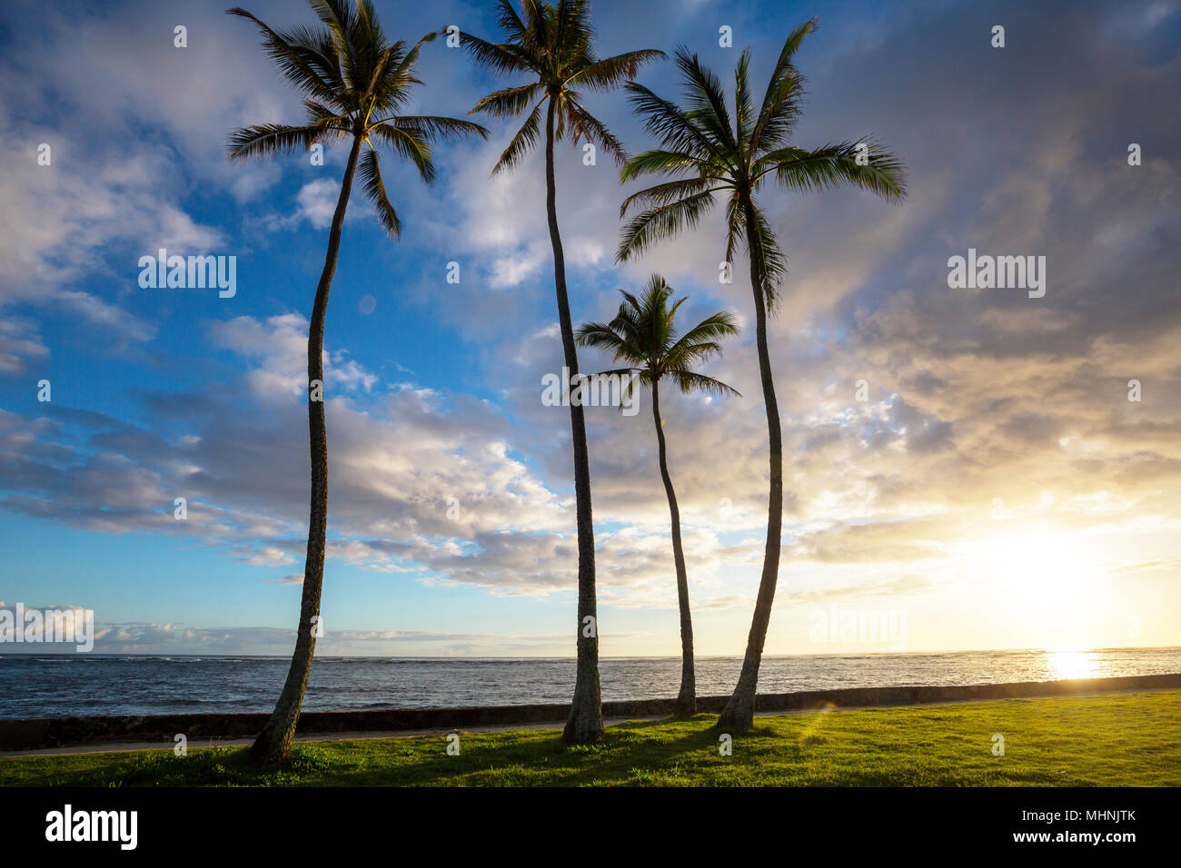 Amazing hawaiian beach Stock Photo - Alamy