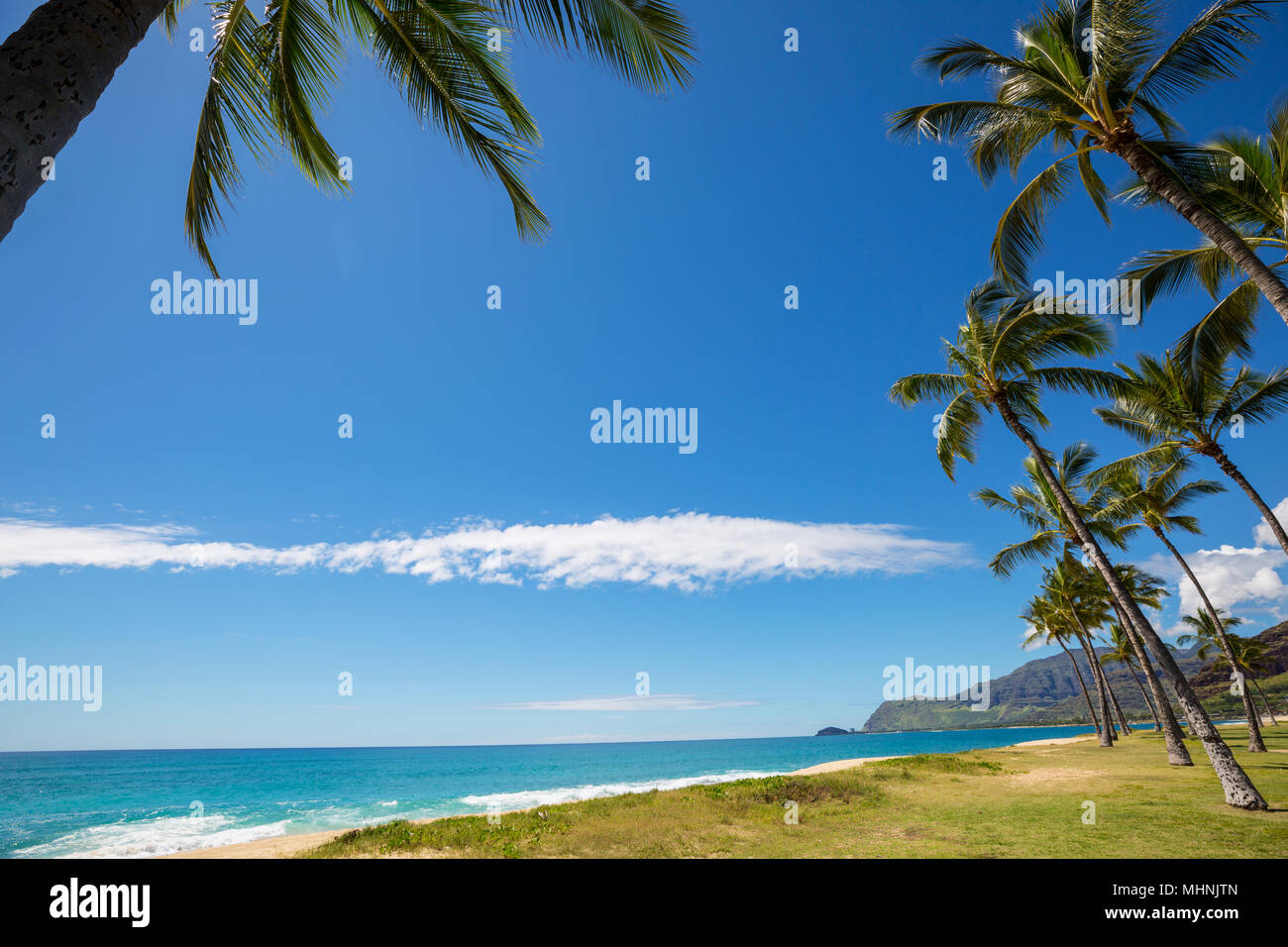 Amazing hawaiian beach Stock Photo - Alamy