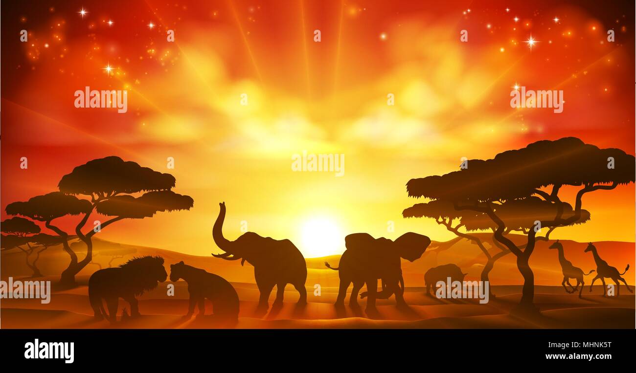 African Safari Landscape Sunset