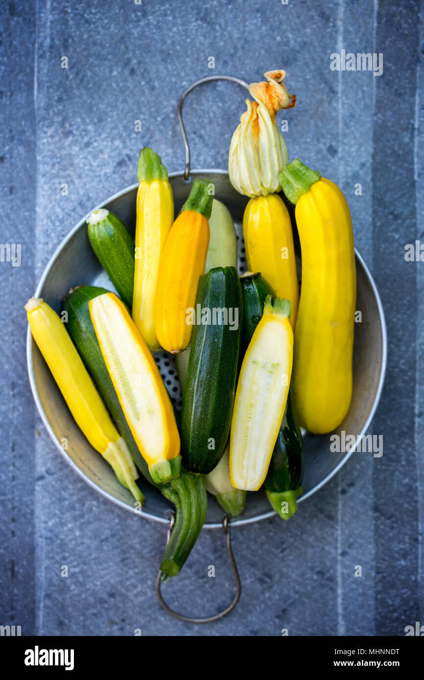 long organic squash in a sieve Stock Photo - Alamy