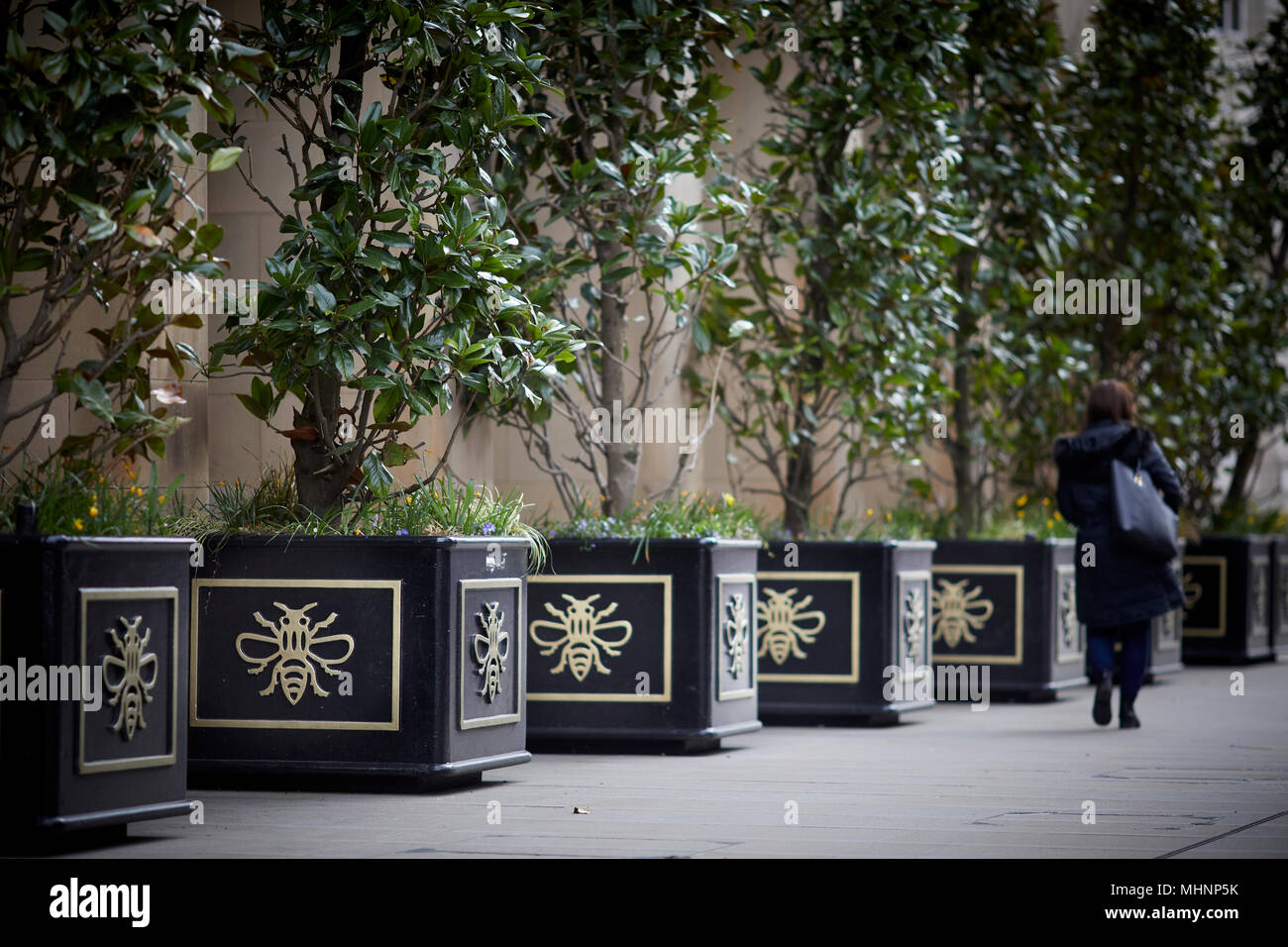 Manchester city centre planters with the bee logo Stock Photo - Alamy