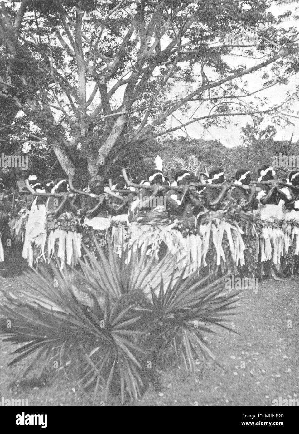 FIJI. Fiji. A War-dance; 1900 old antique vintage print picture Stock ...