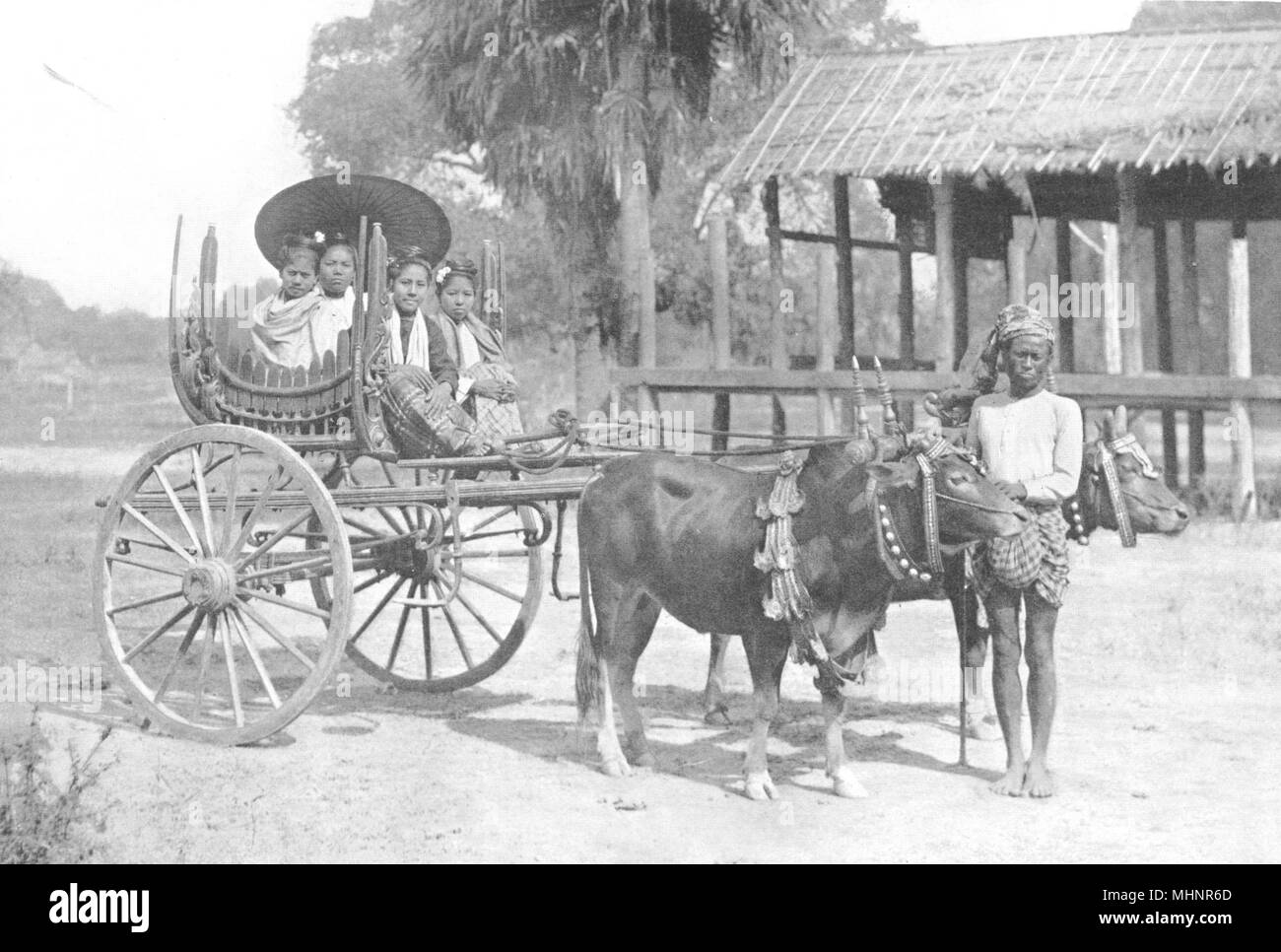BURMA. Burma. A Country cart; 1900 old antique vintage print picture ...