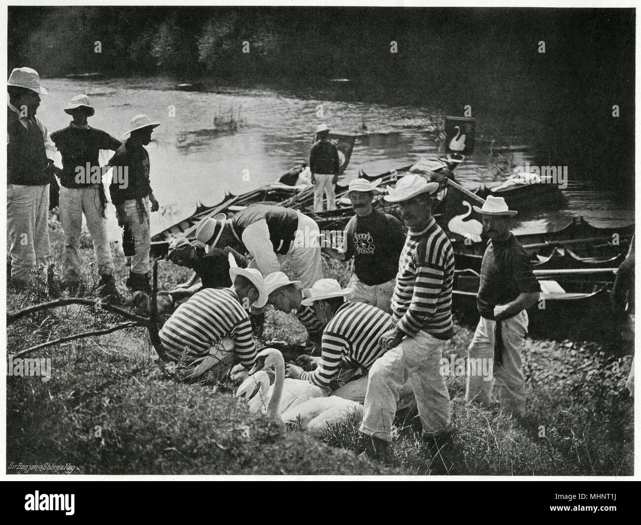 Birds marking hi-res stock photography and images - Alamy