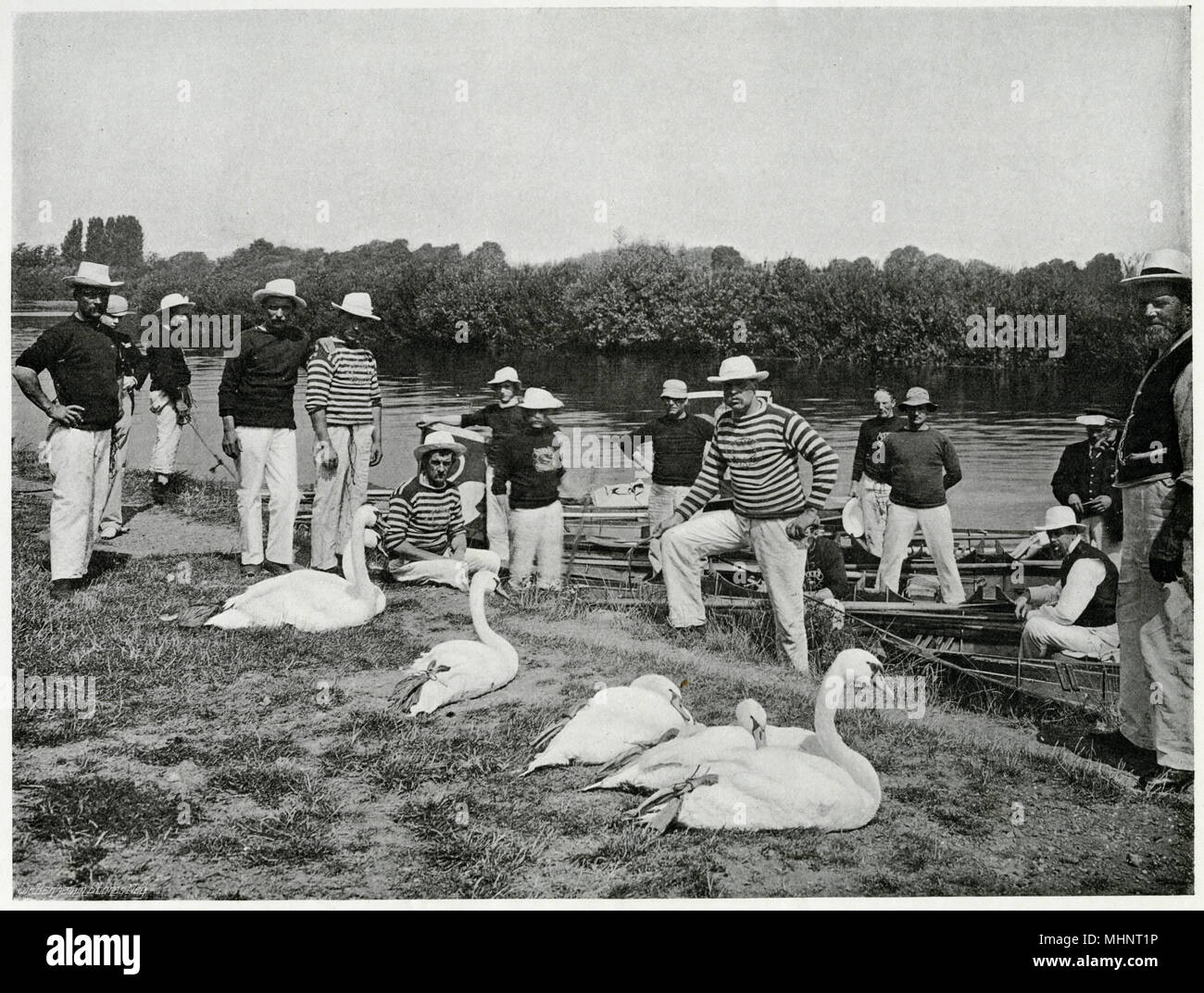 'Examining the old birds', annual ceremony taking several days where ...