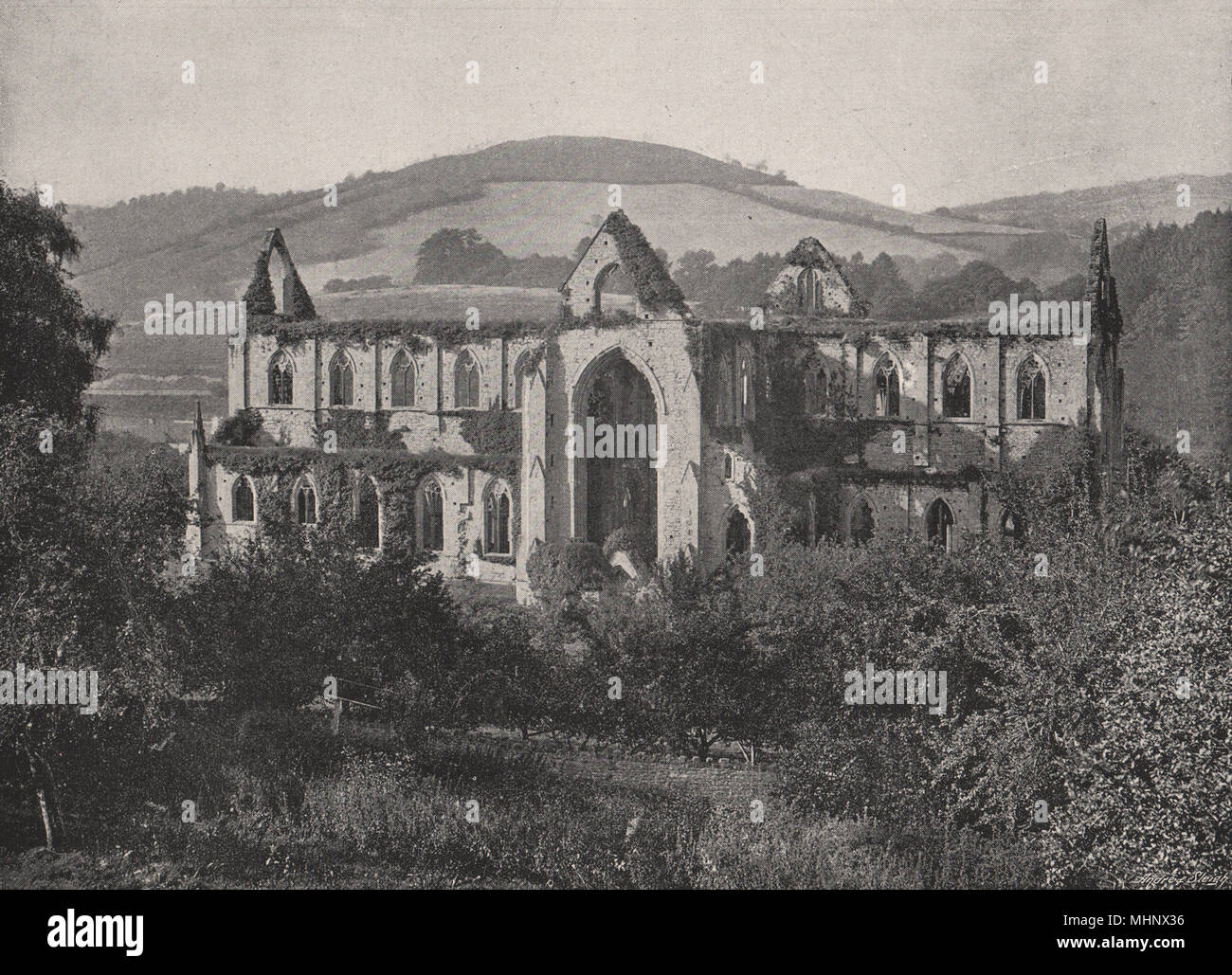 TINTERN ABBEY. Overgrown. Wales 1900 old antique vintage print picture ...