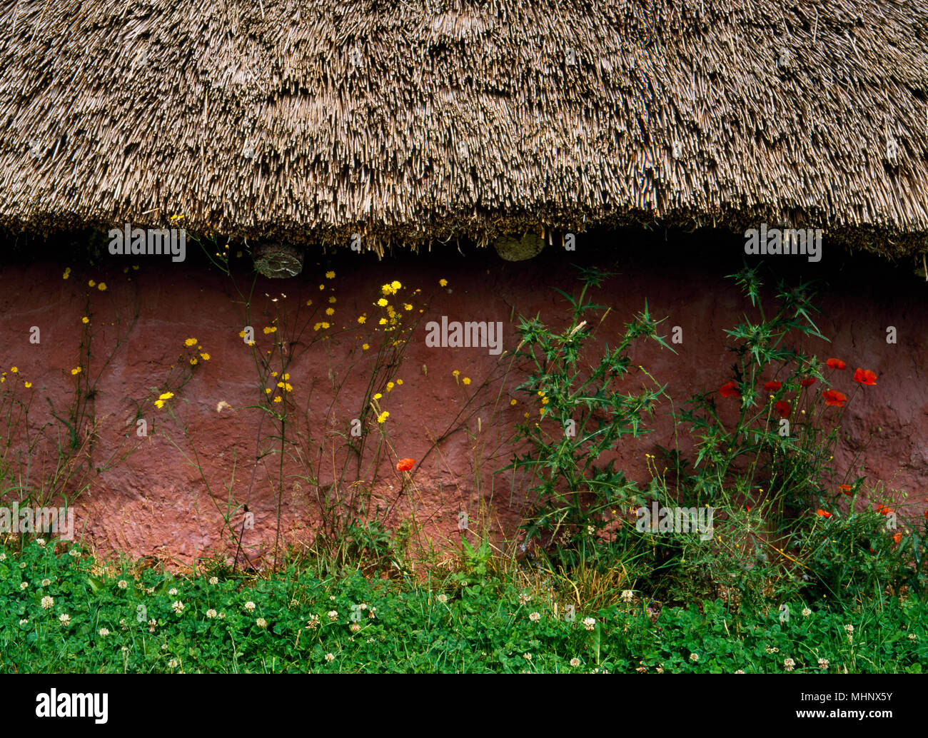 Wattle And Daub House High Resolution Stock Photography and Images - Alamy