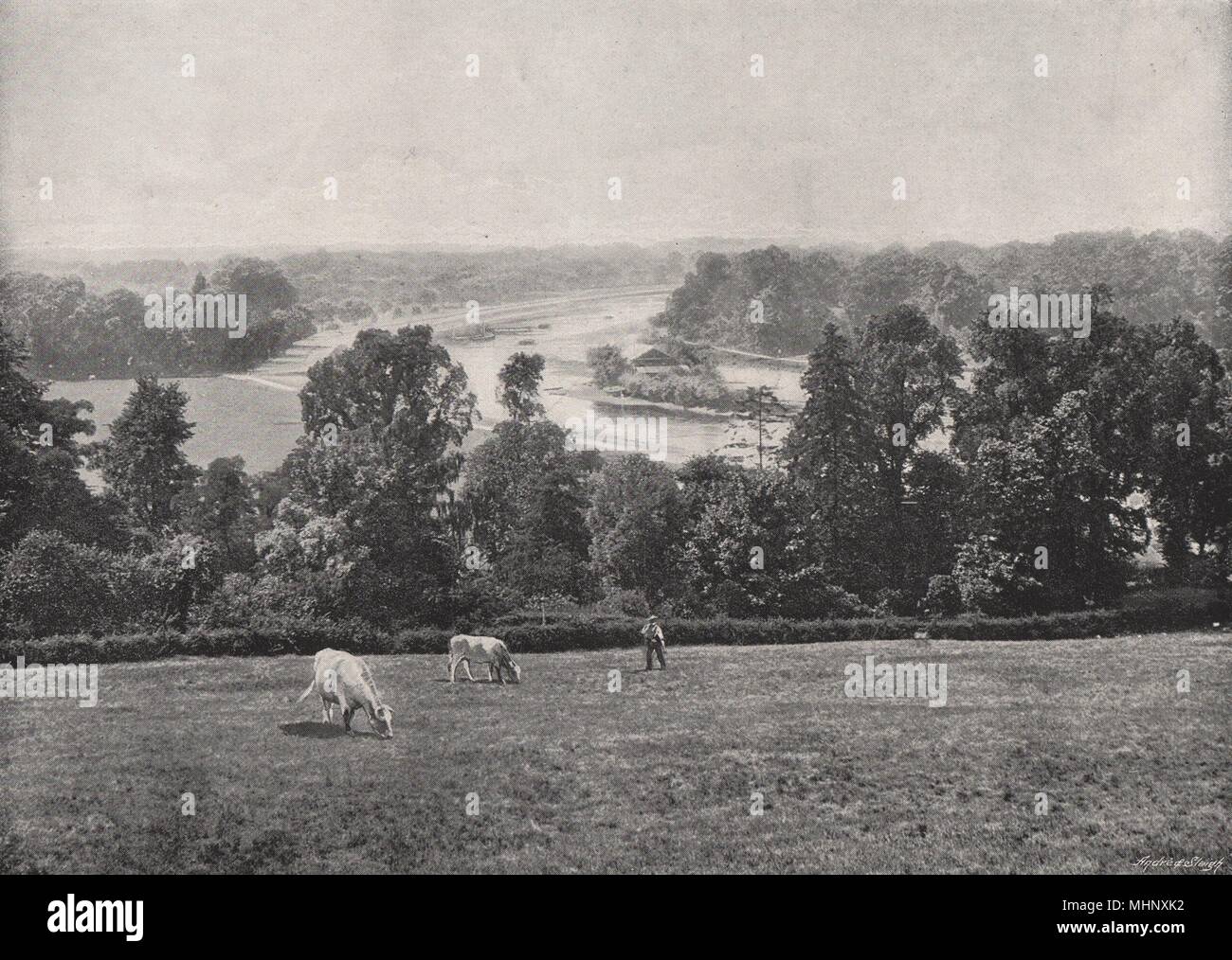 SURREY. From Richmond Hill. 1900 old antique vintage print picture ...