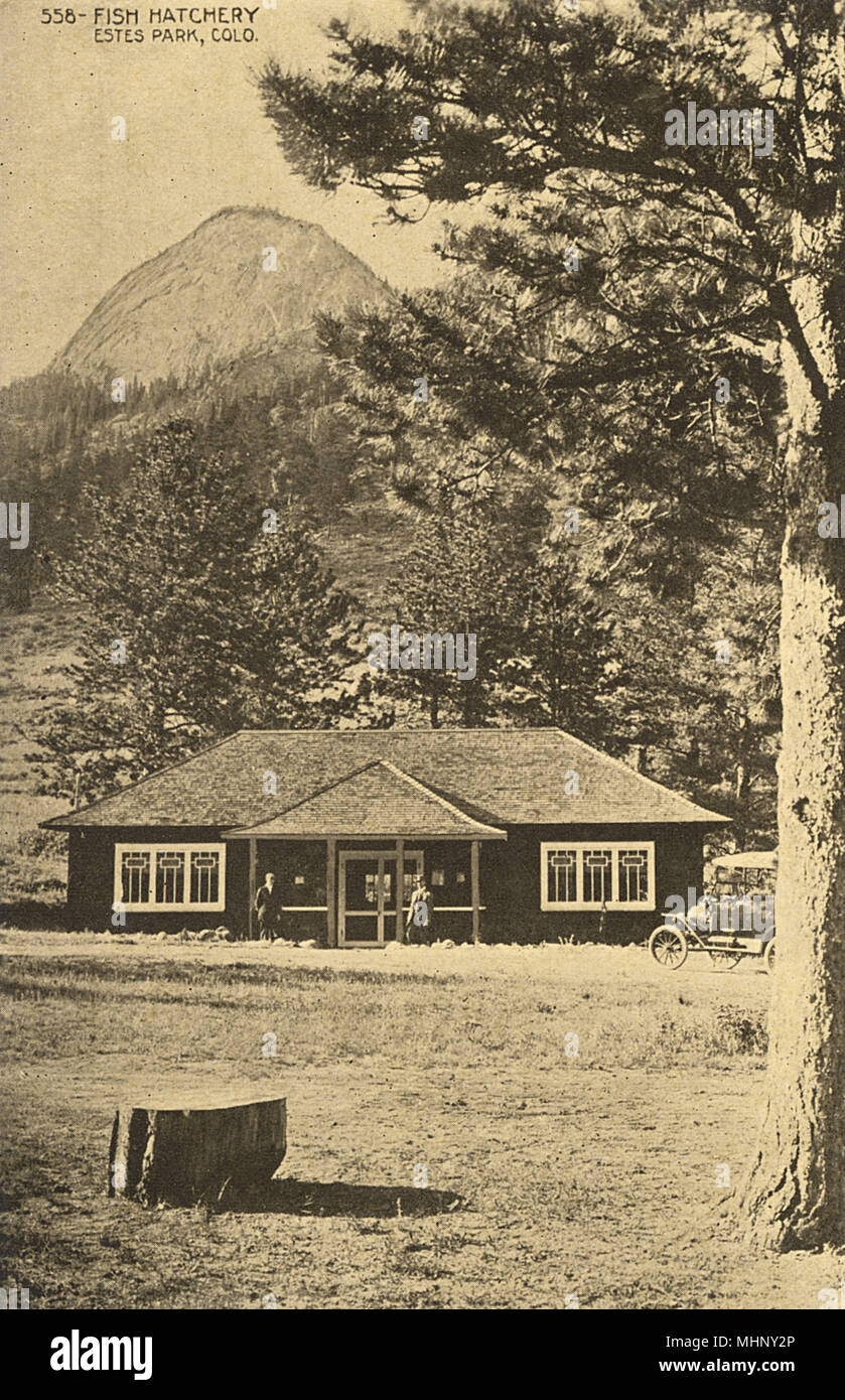 Fish Hatchery, Estes Park, Colorado, USA Stock Photo - Alamy