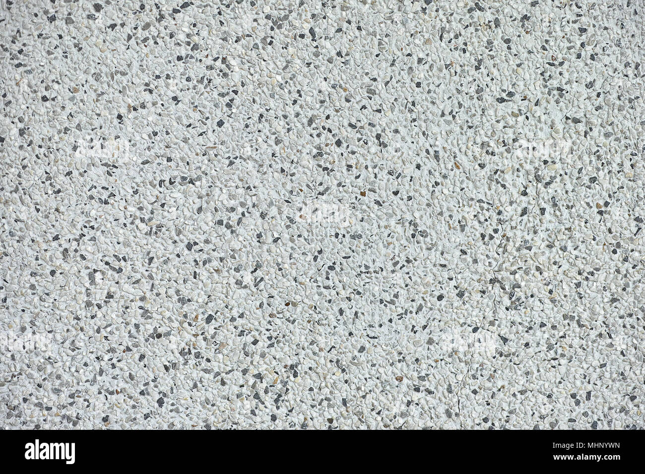 Speckled Egg Texture