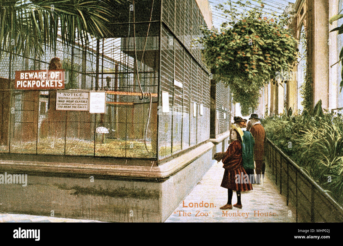 People visiting the Monkey House at London Zoo Stock Photo - Alamy