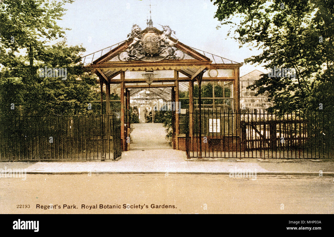 Royal Botanic Society Gardens, Regents Park, London Stock Photo - Alamy